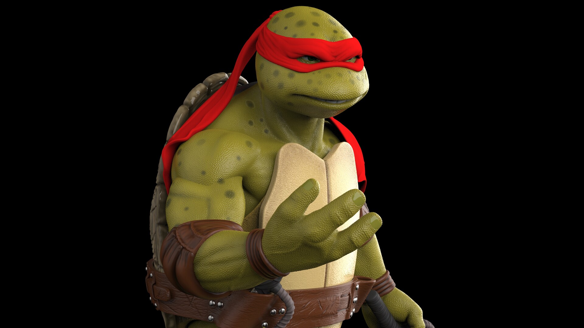 Signed rafael ninja turtle hakodate-suiren.com