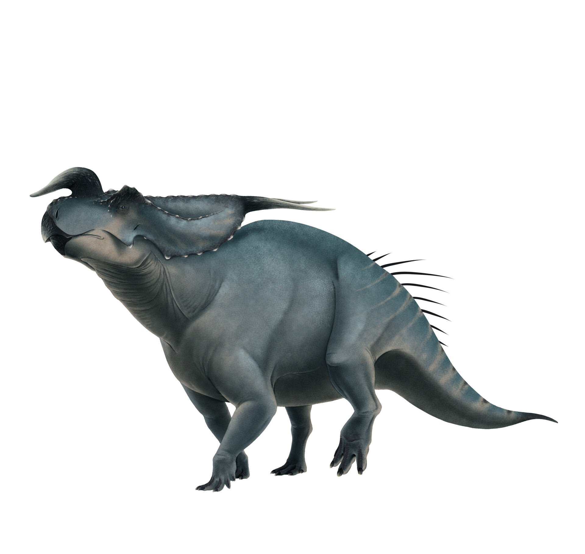 ArtStation - einiosaurus