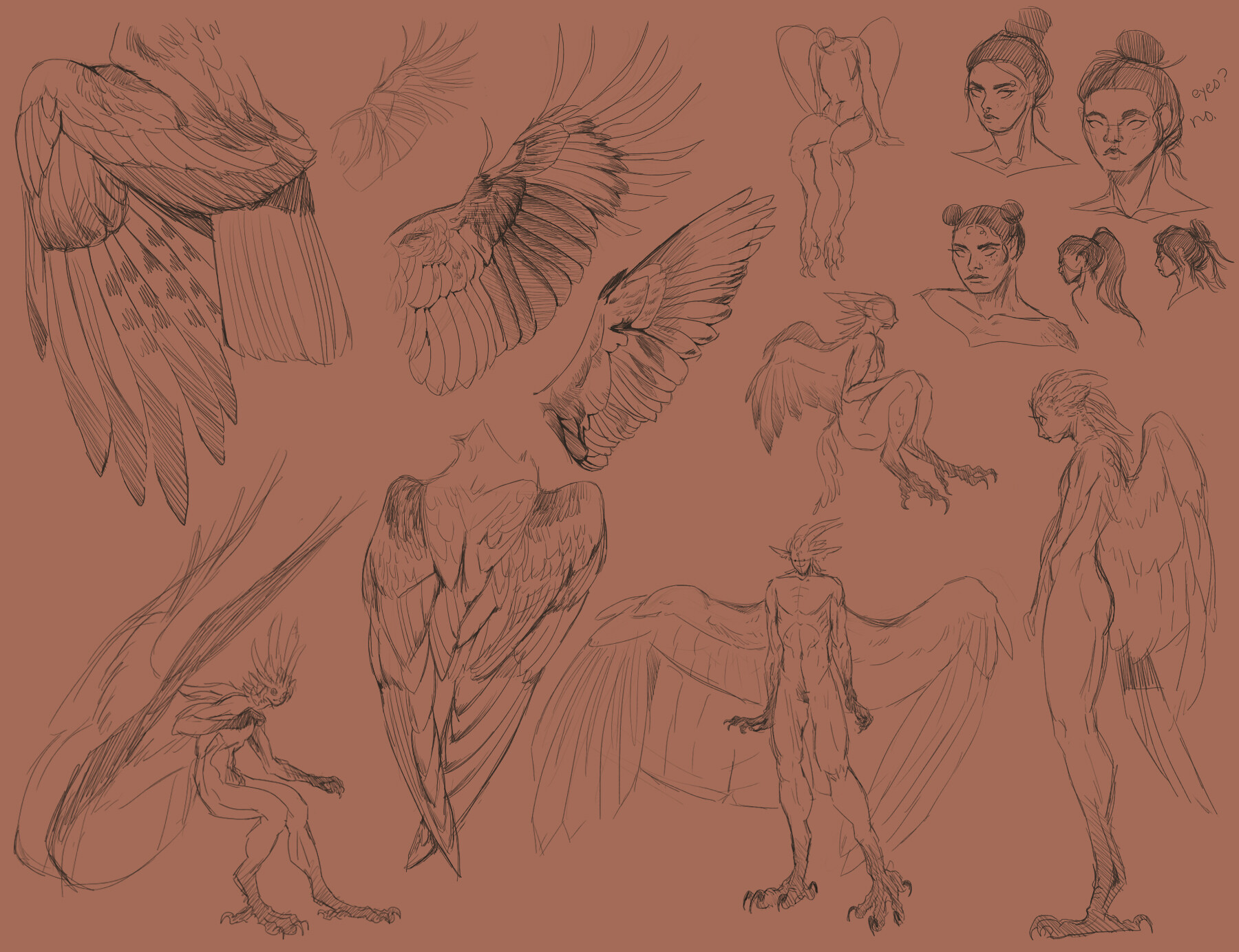 ArtStation - Wing studies