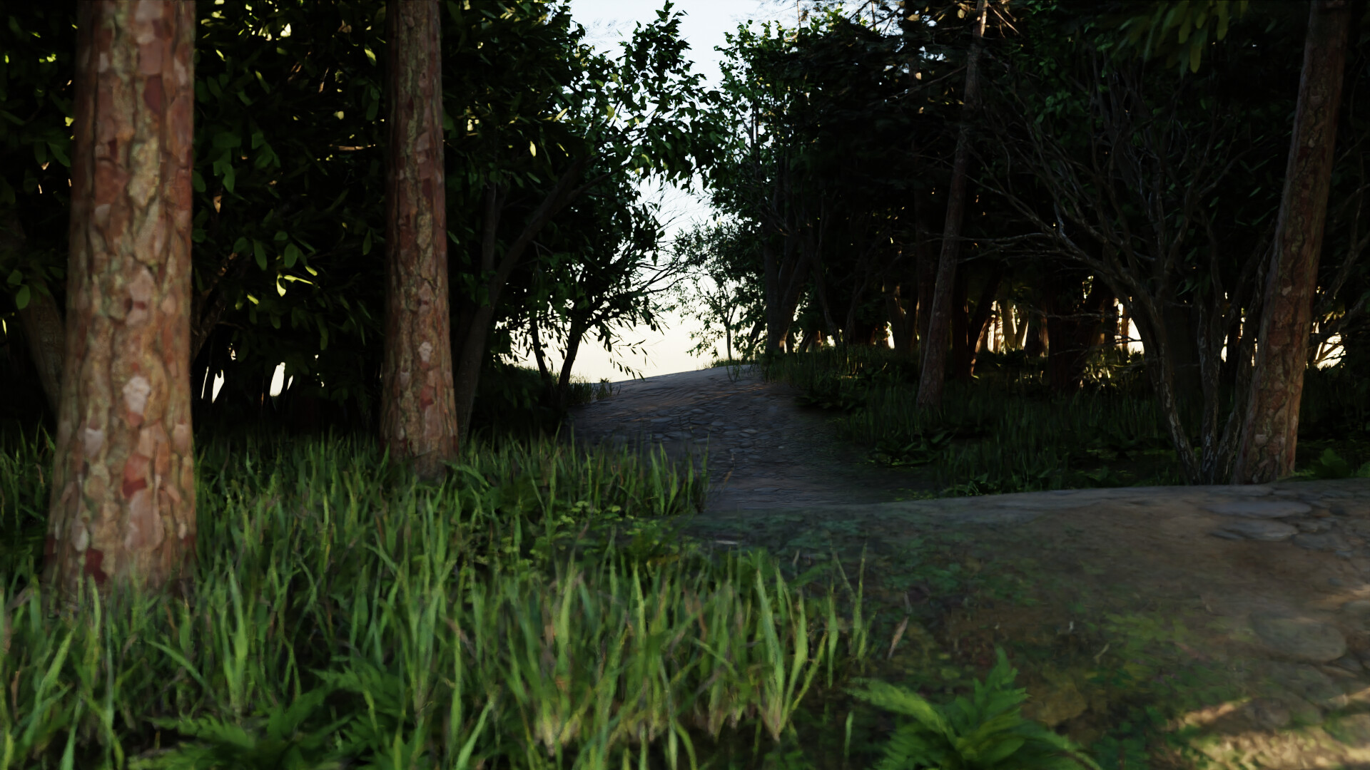 ArtStation - Forest