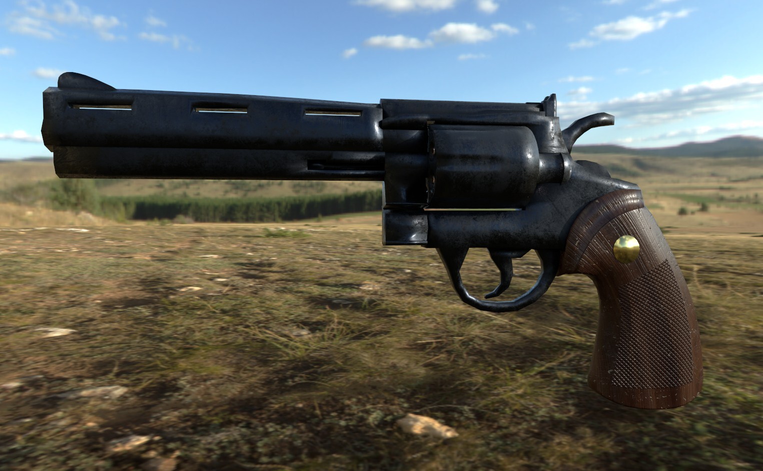 Bart Bouwens - Colt Python 375 Revolver