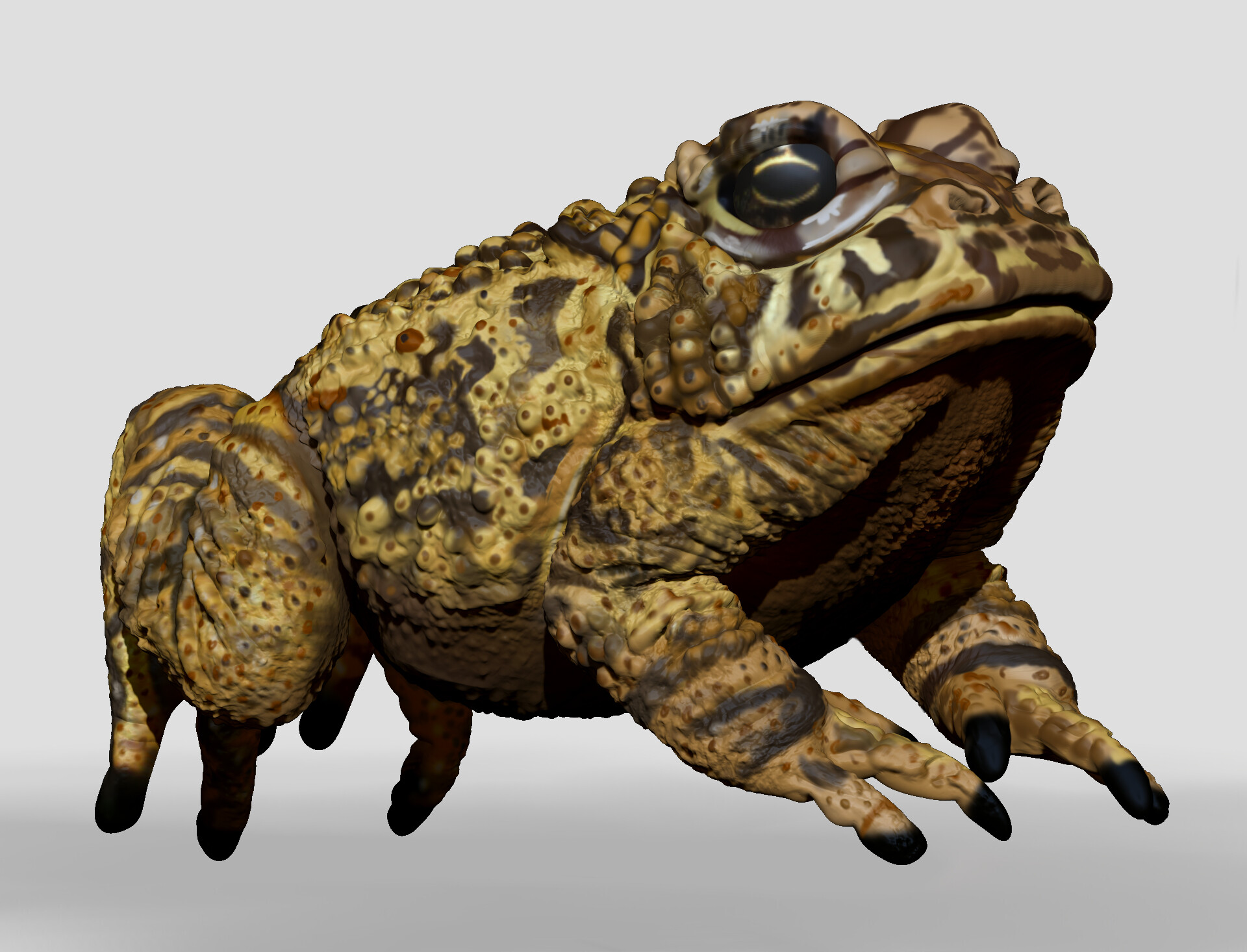 ArtStation - Yellow Toad Concept