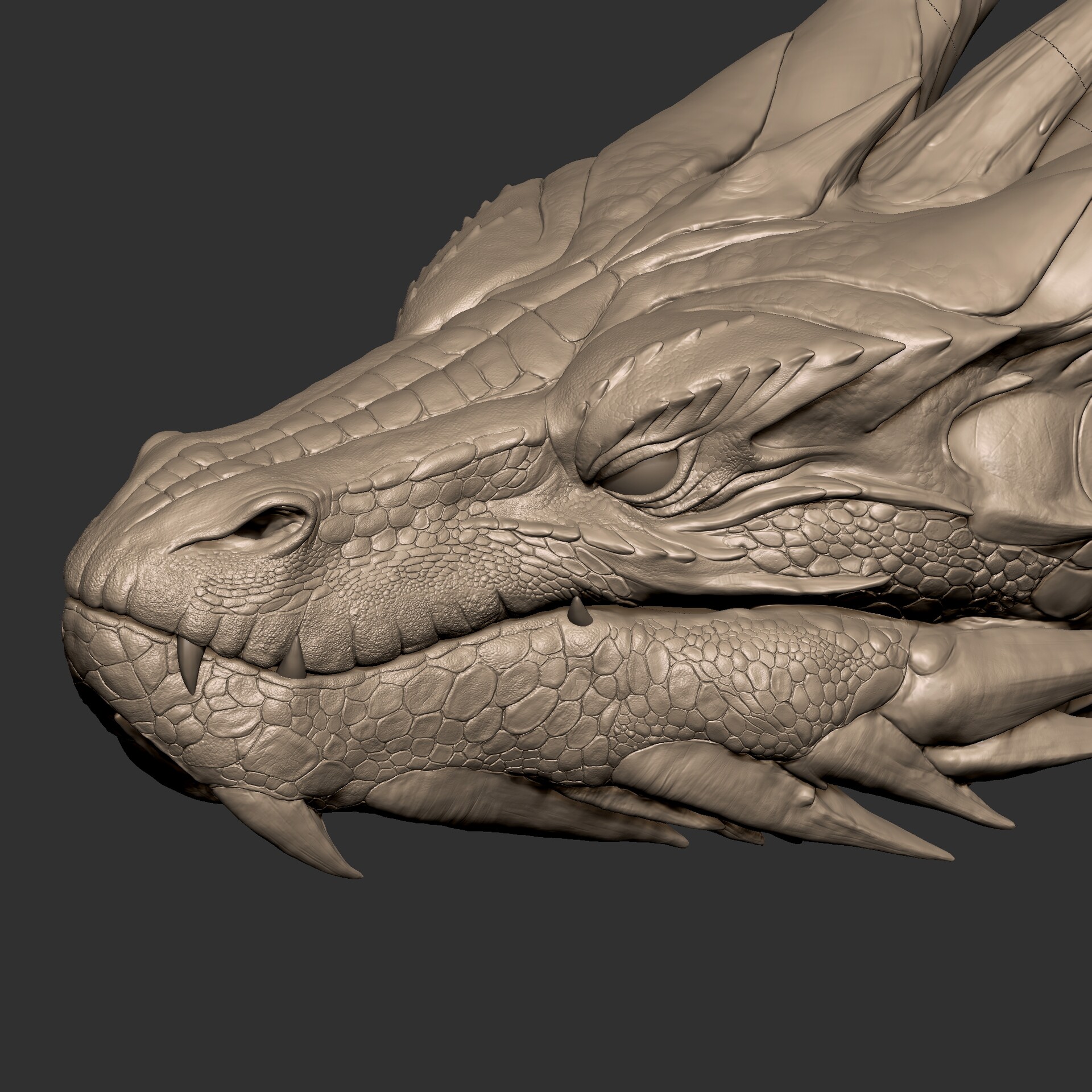 ArtStation - dragon practice