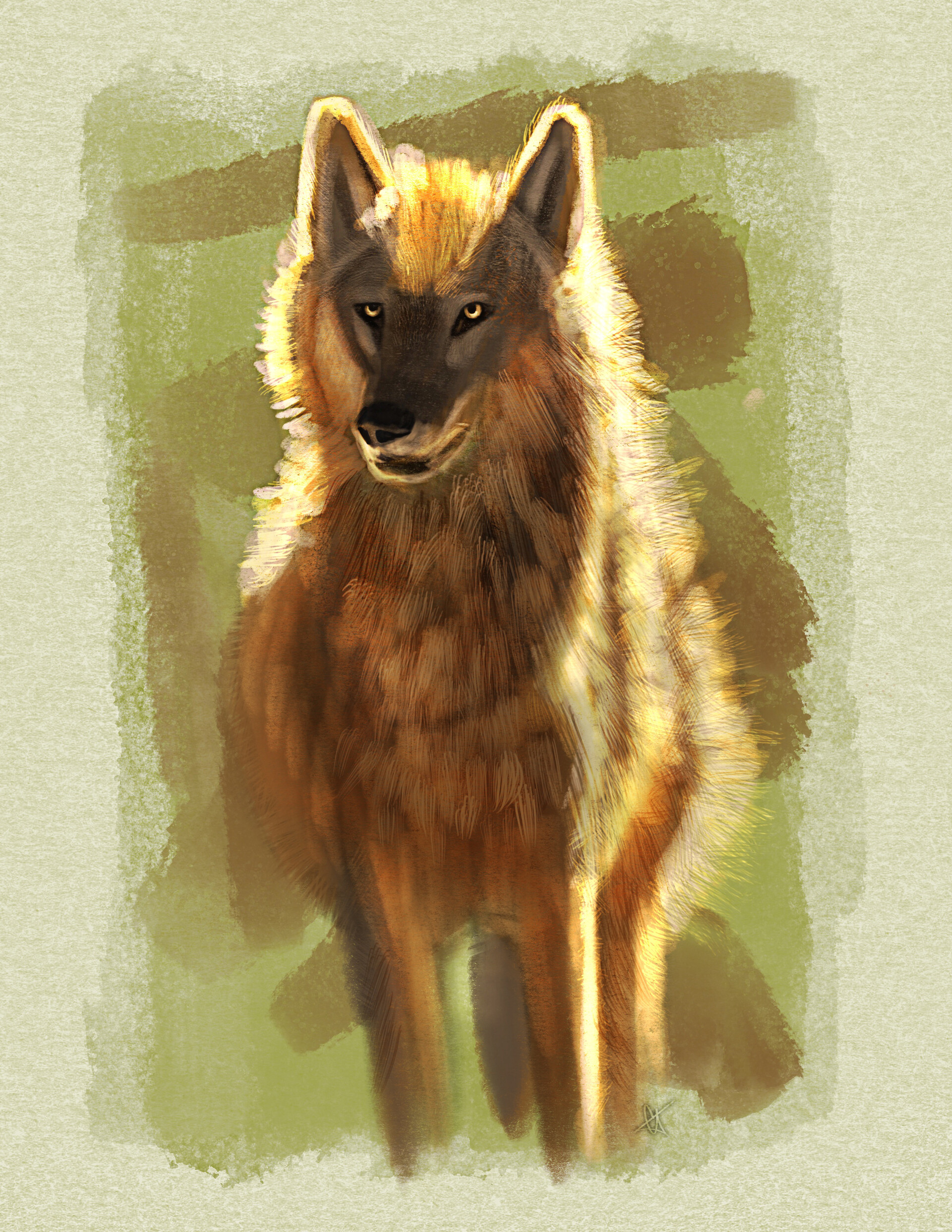 ArtStation - Wolf Study