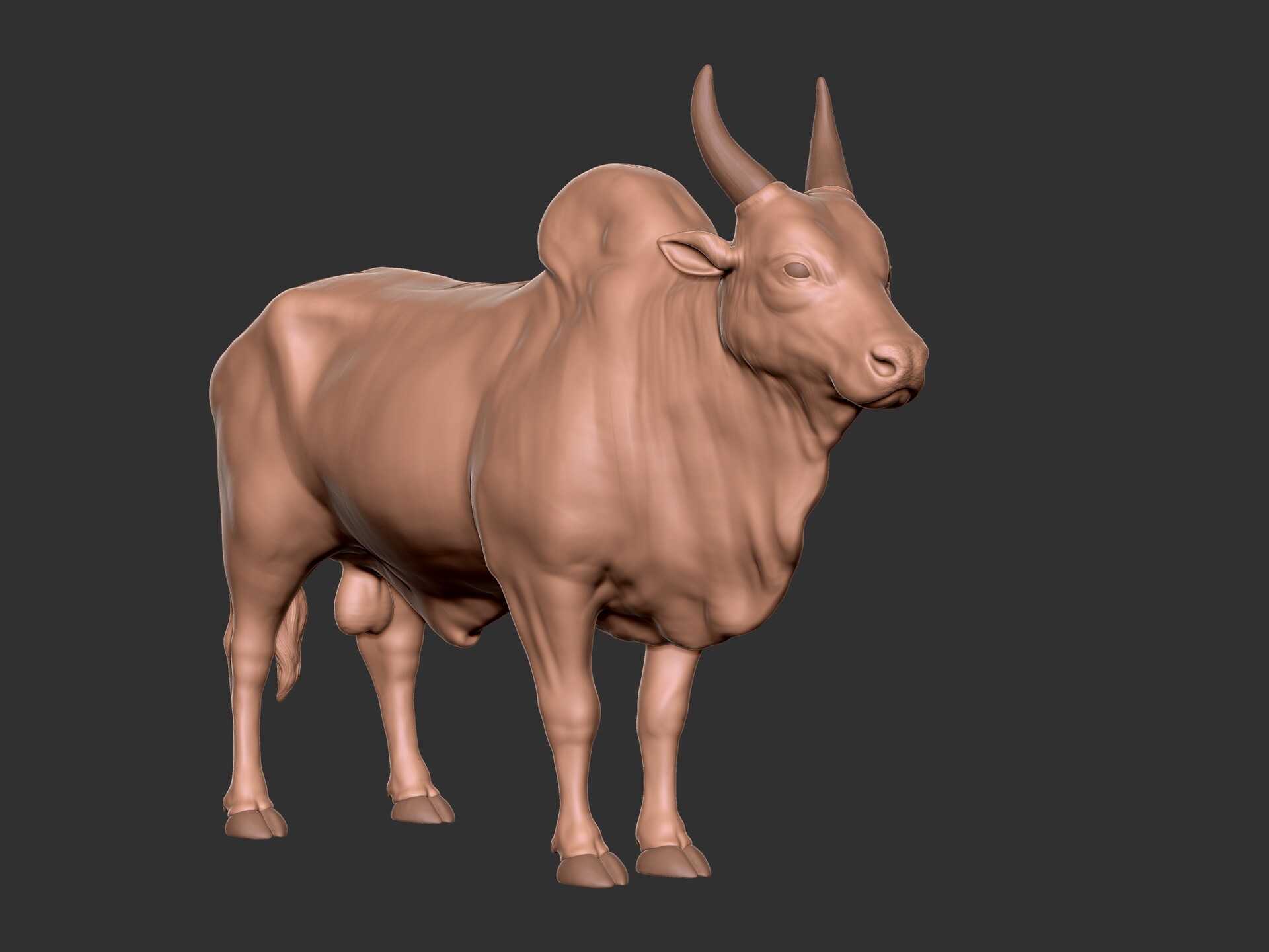 ArtStation - pulikulam breed