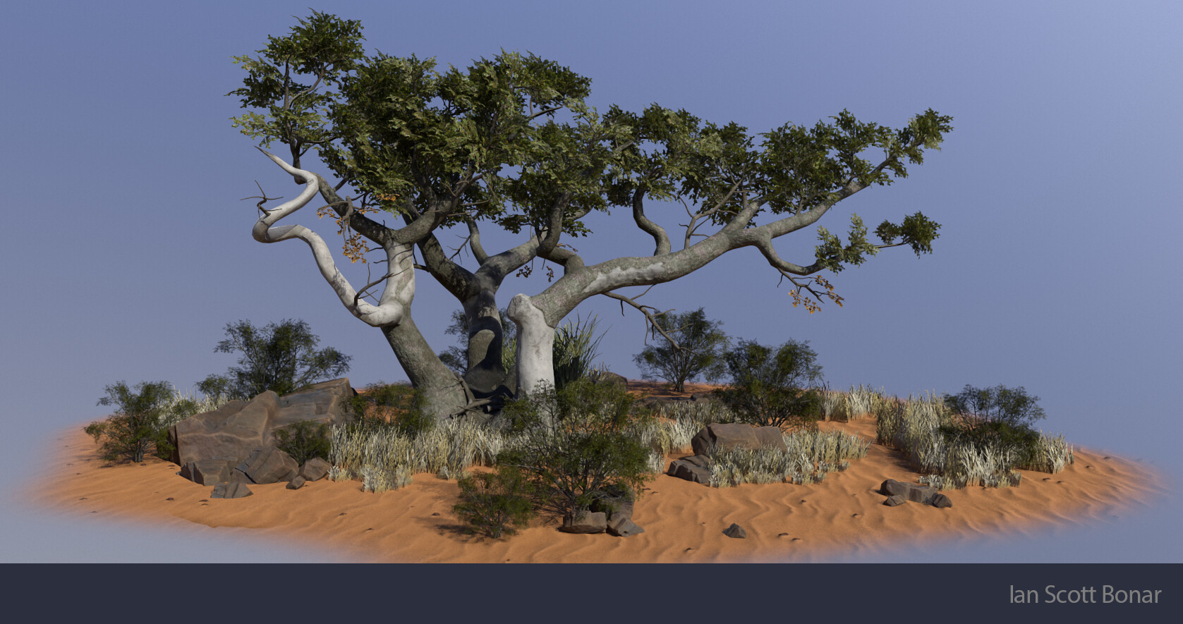 Ian Bonar - Desert Mountain Mahogany