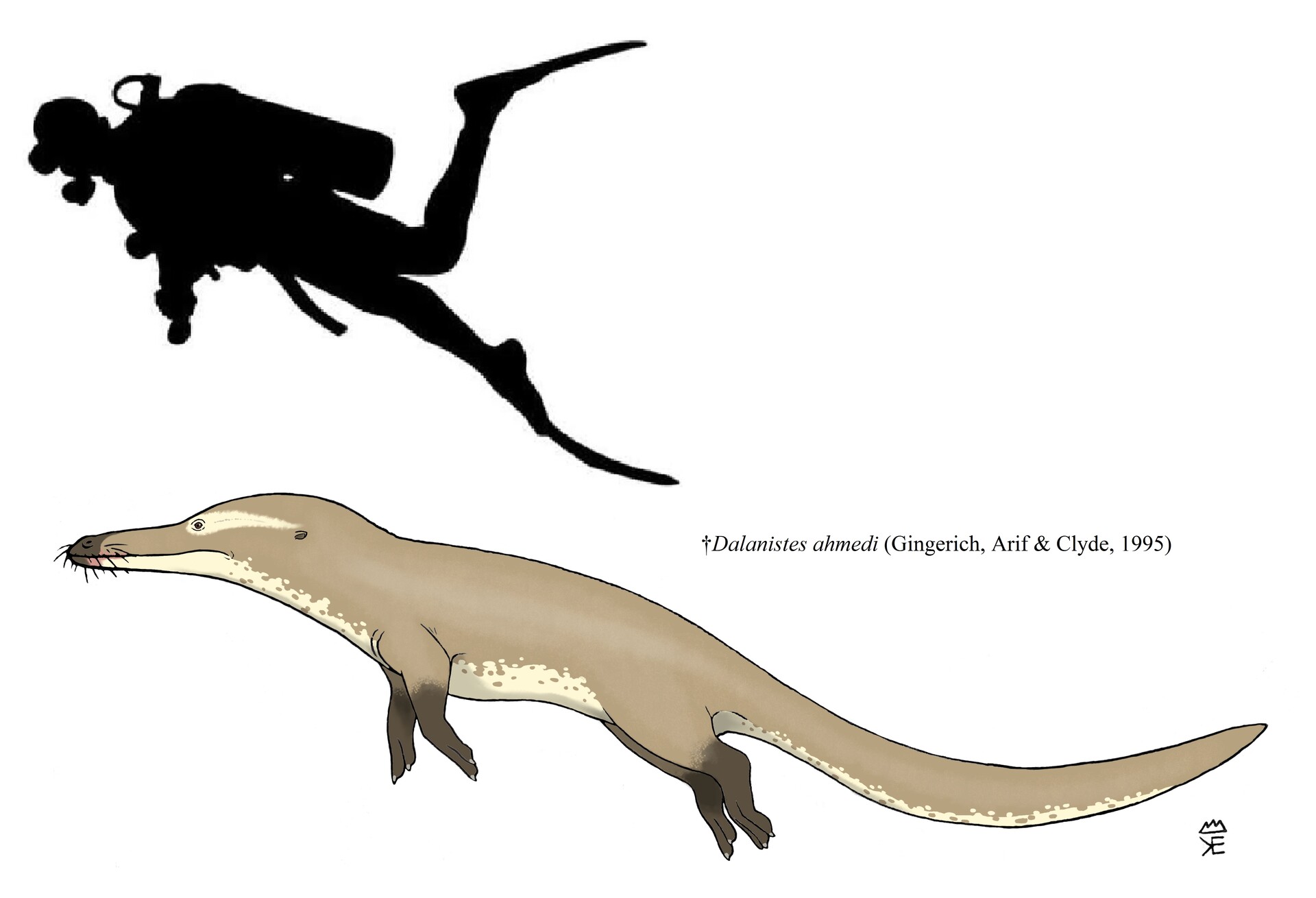 ArtStation - Dalanistes ahmedi