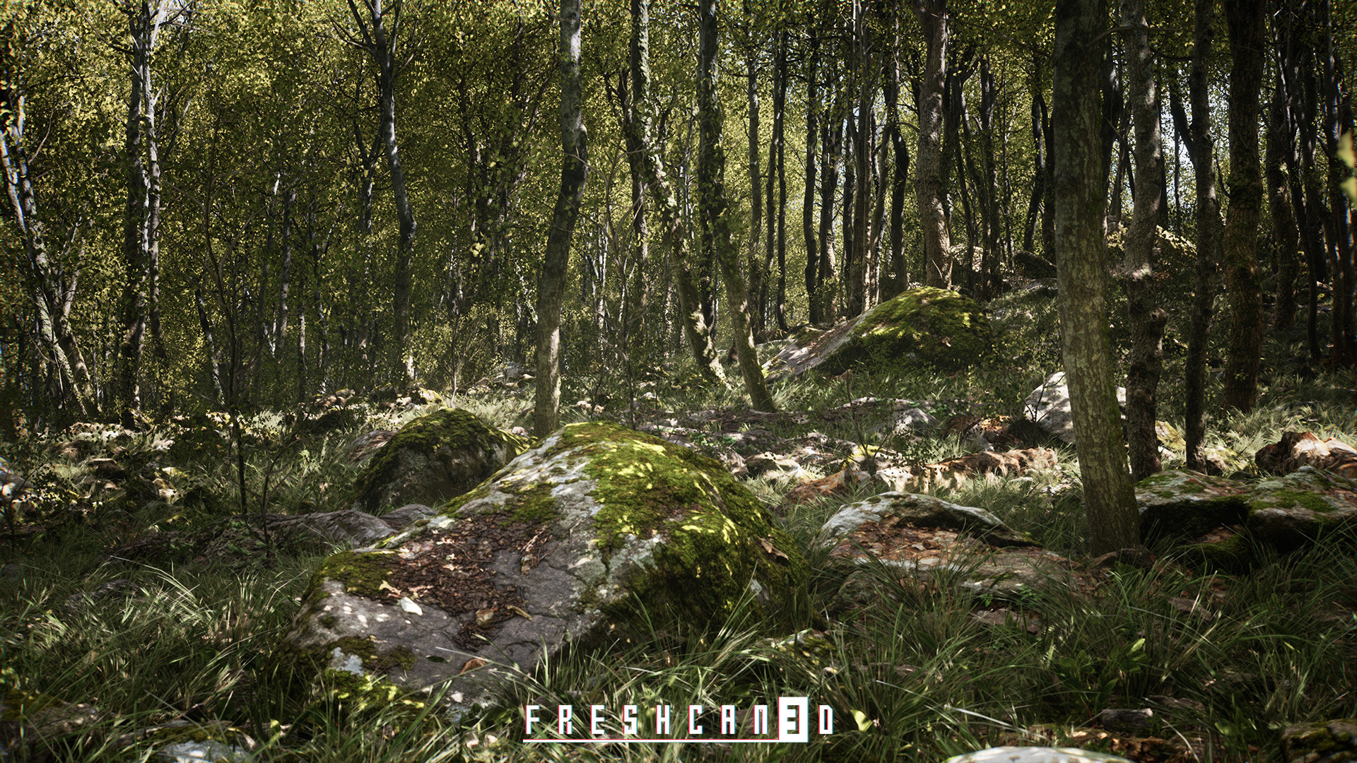 Freshcan 3D - Environment Art Studio - Procedural Oak Forest - Unreal ...