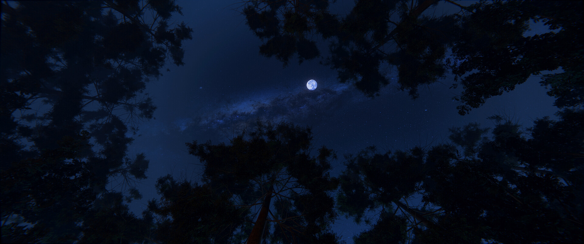 ArtStation - Forest Night