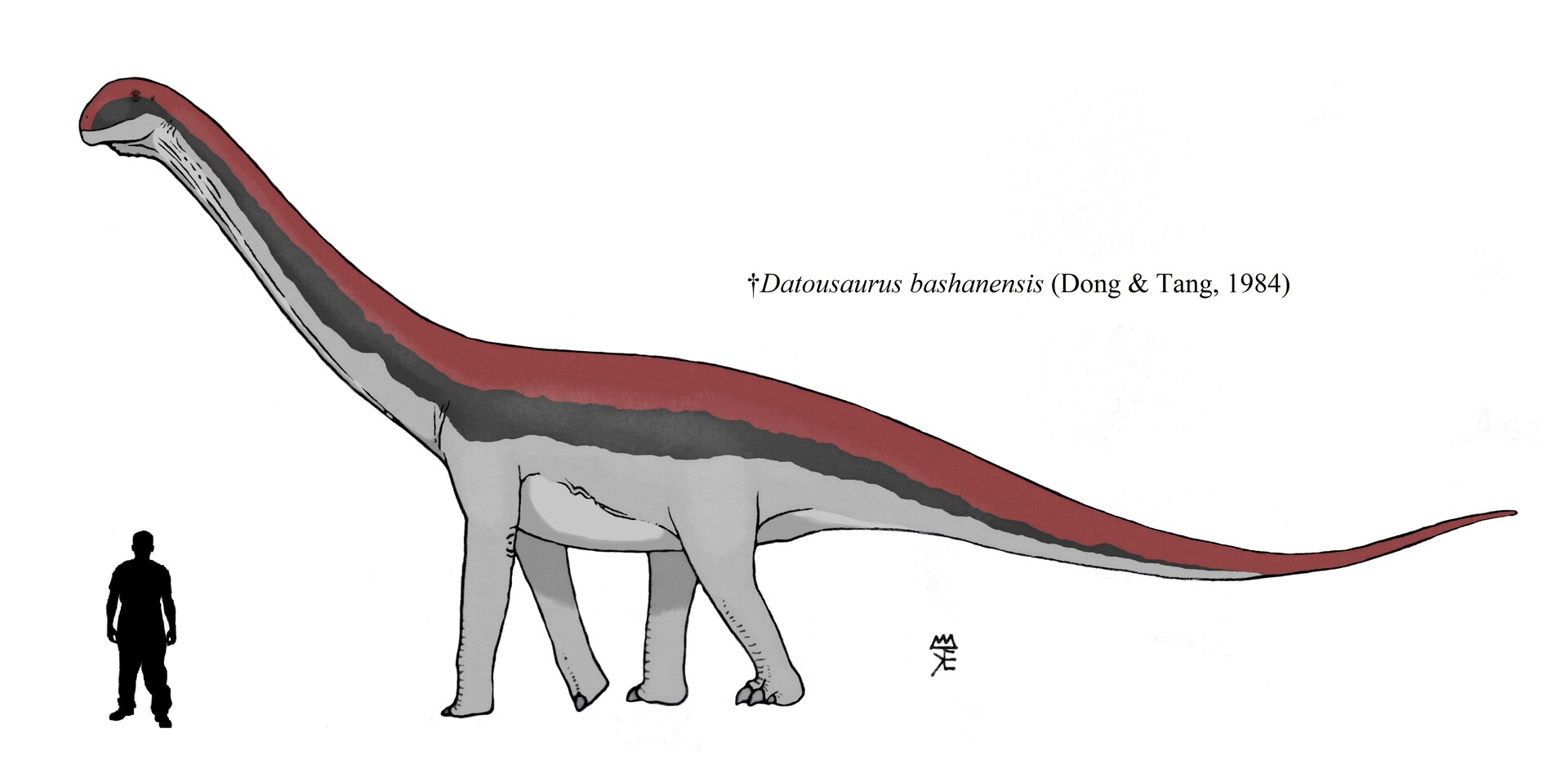 ArtStation - Datousaurus bashanensis