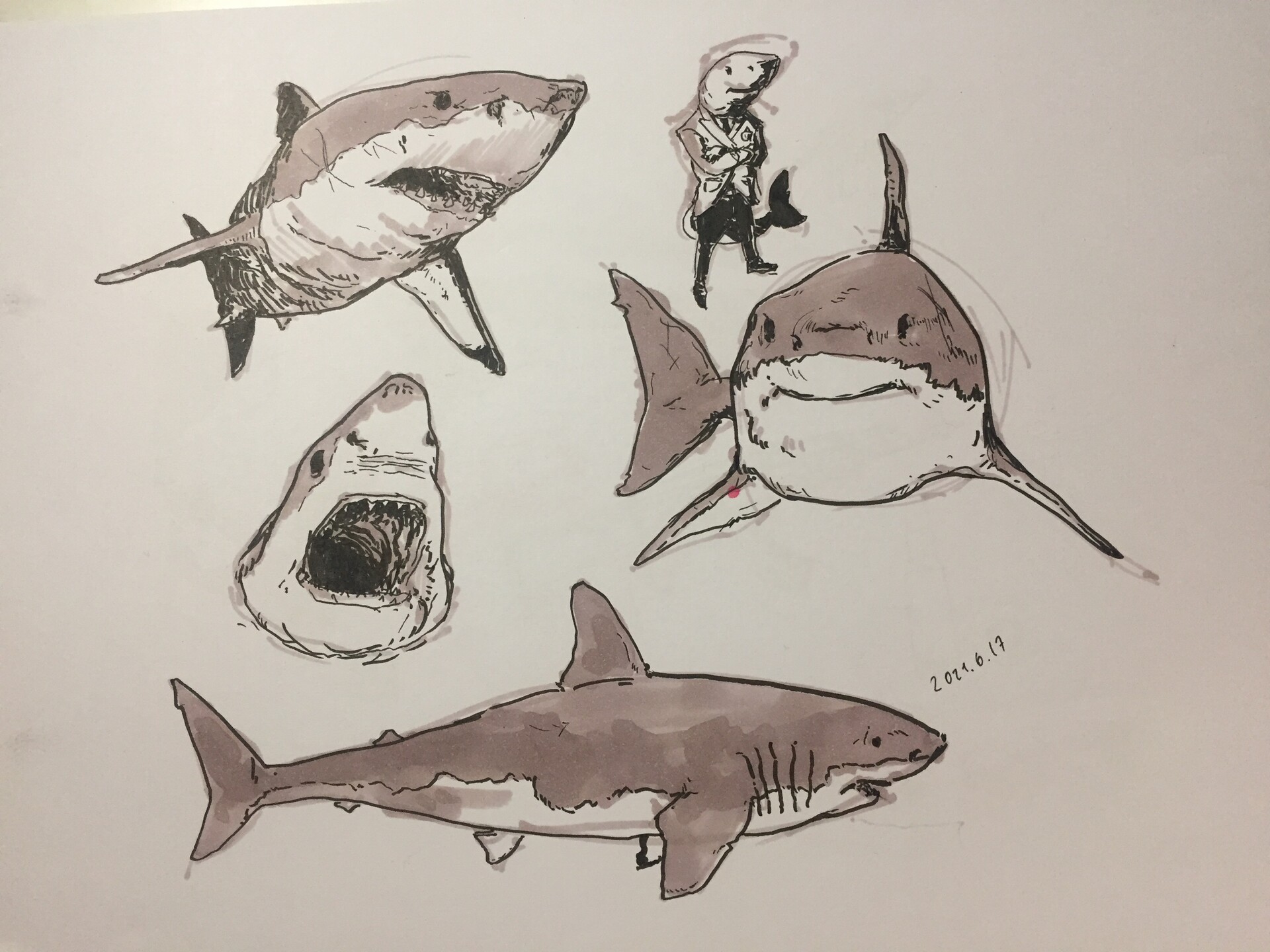 ArtStation - sharks