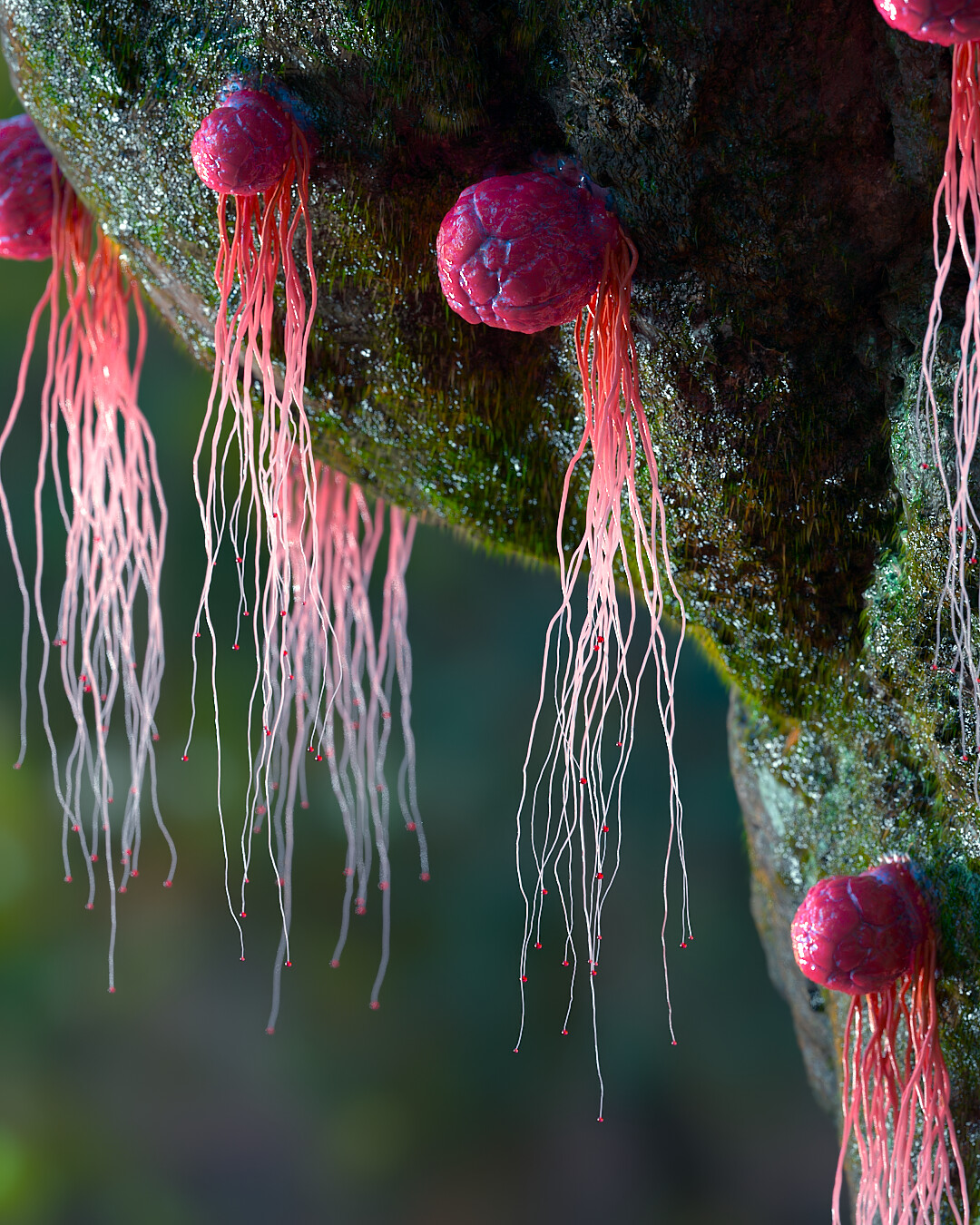Luke Penry - Procedural Fungus - June Everydays