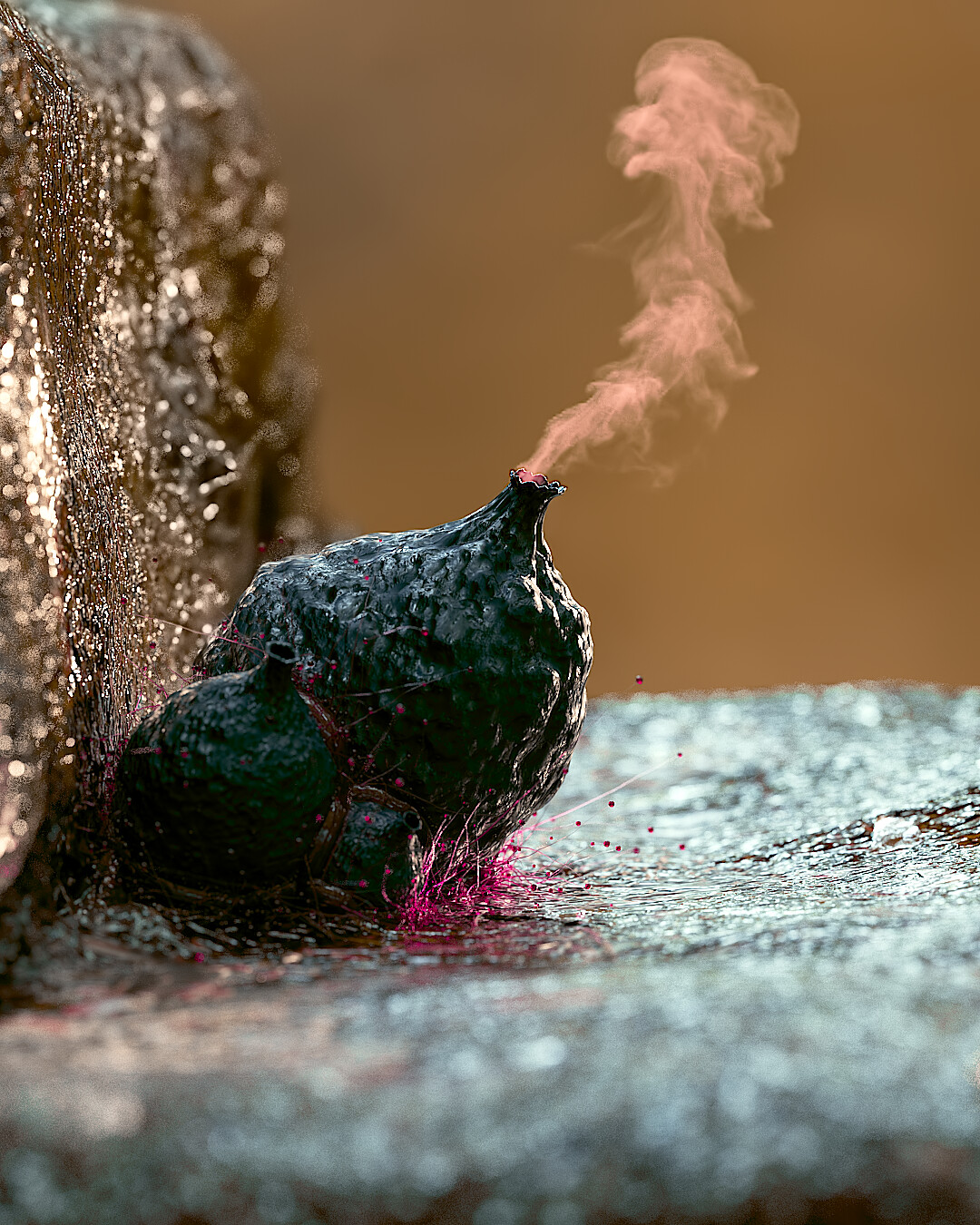 Luke Penry - Procedural Fungus - June Everydays