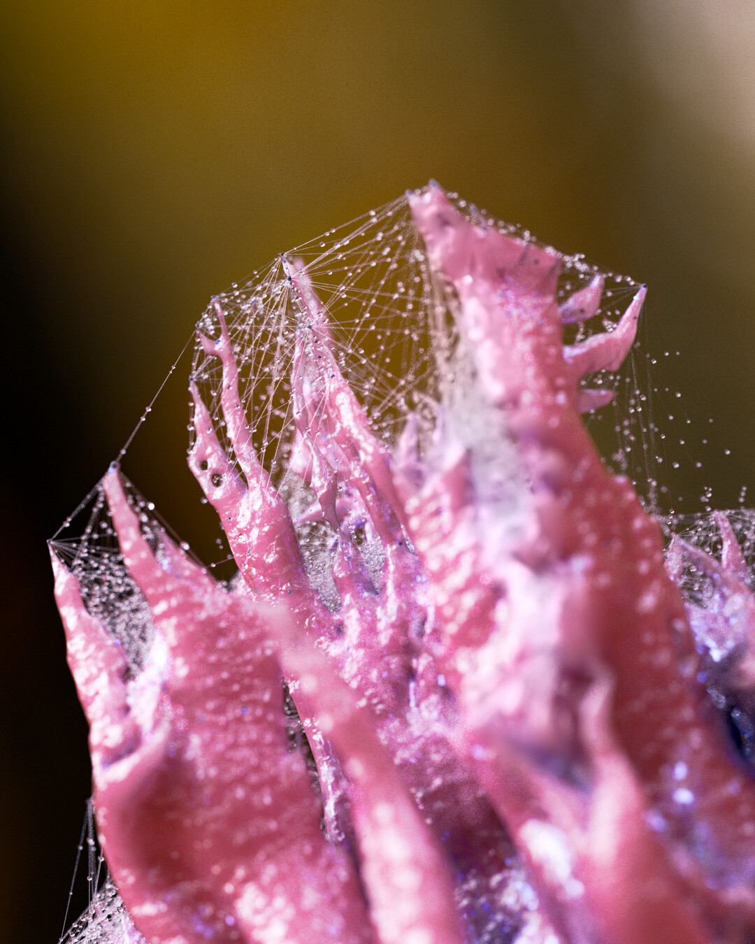 Luke Penry - Procedural Fungus - June Everydays