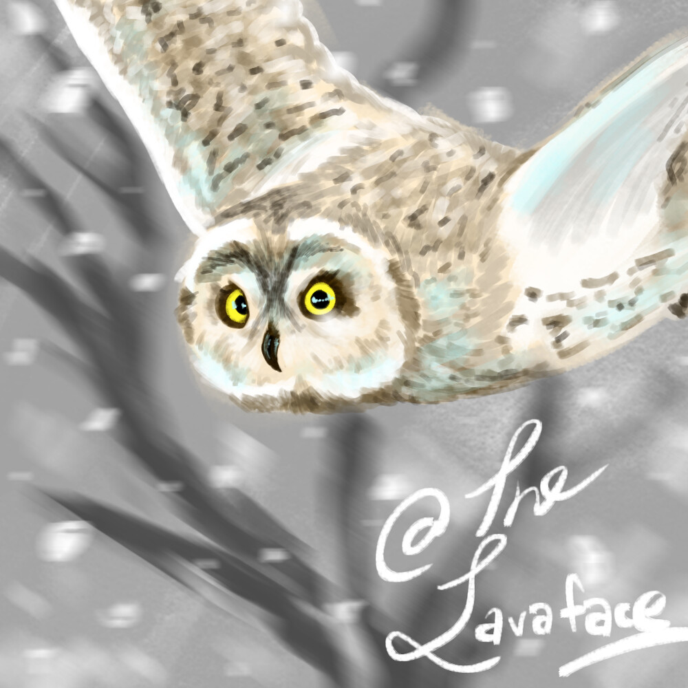 ArtStation - Snow Owl