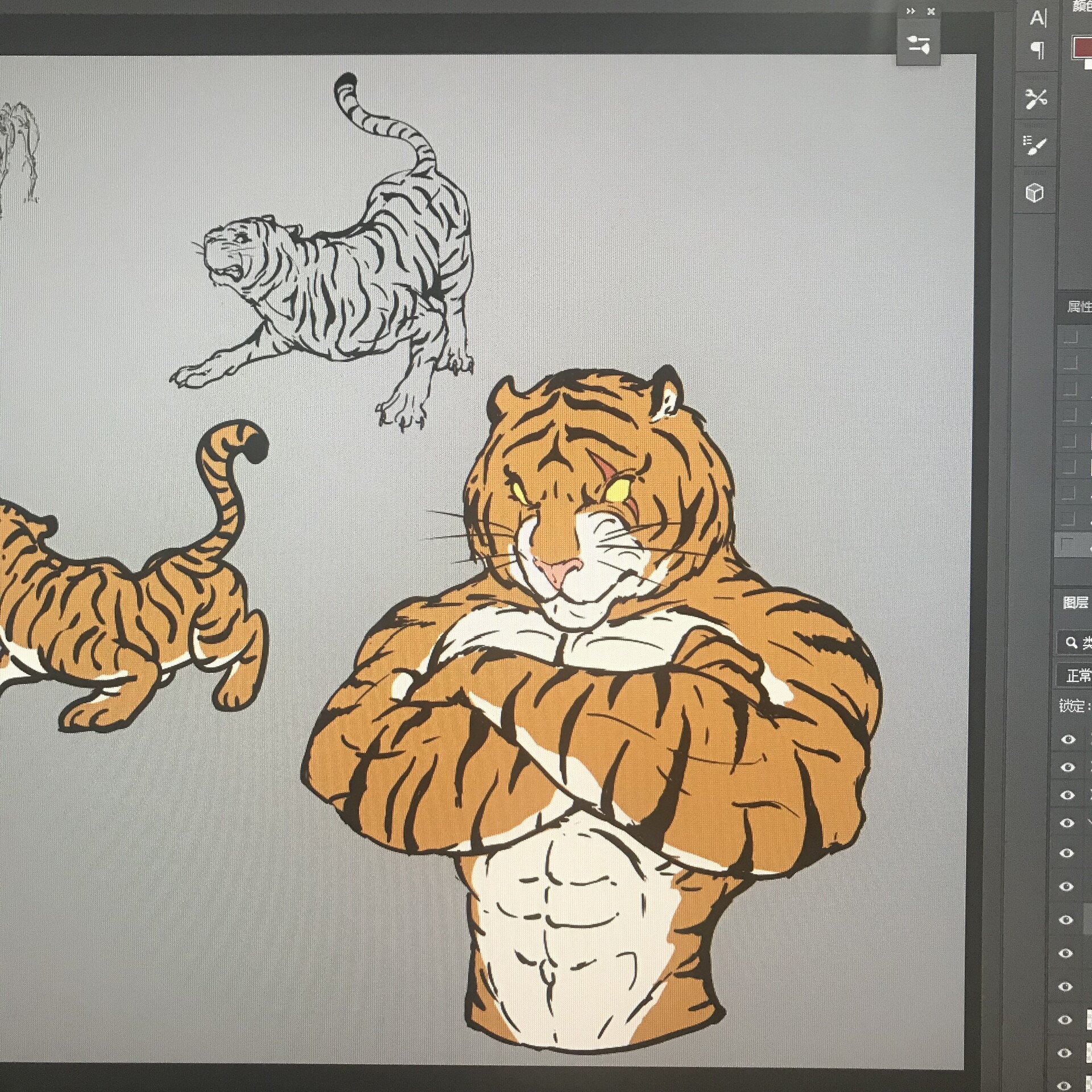 Muscular Tiger