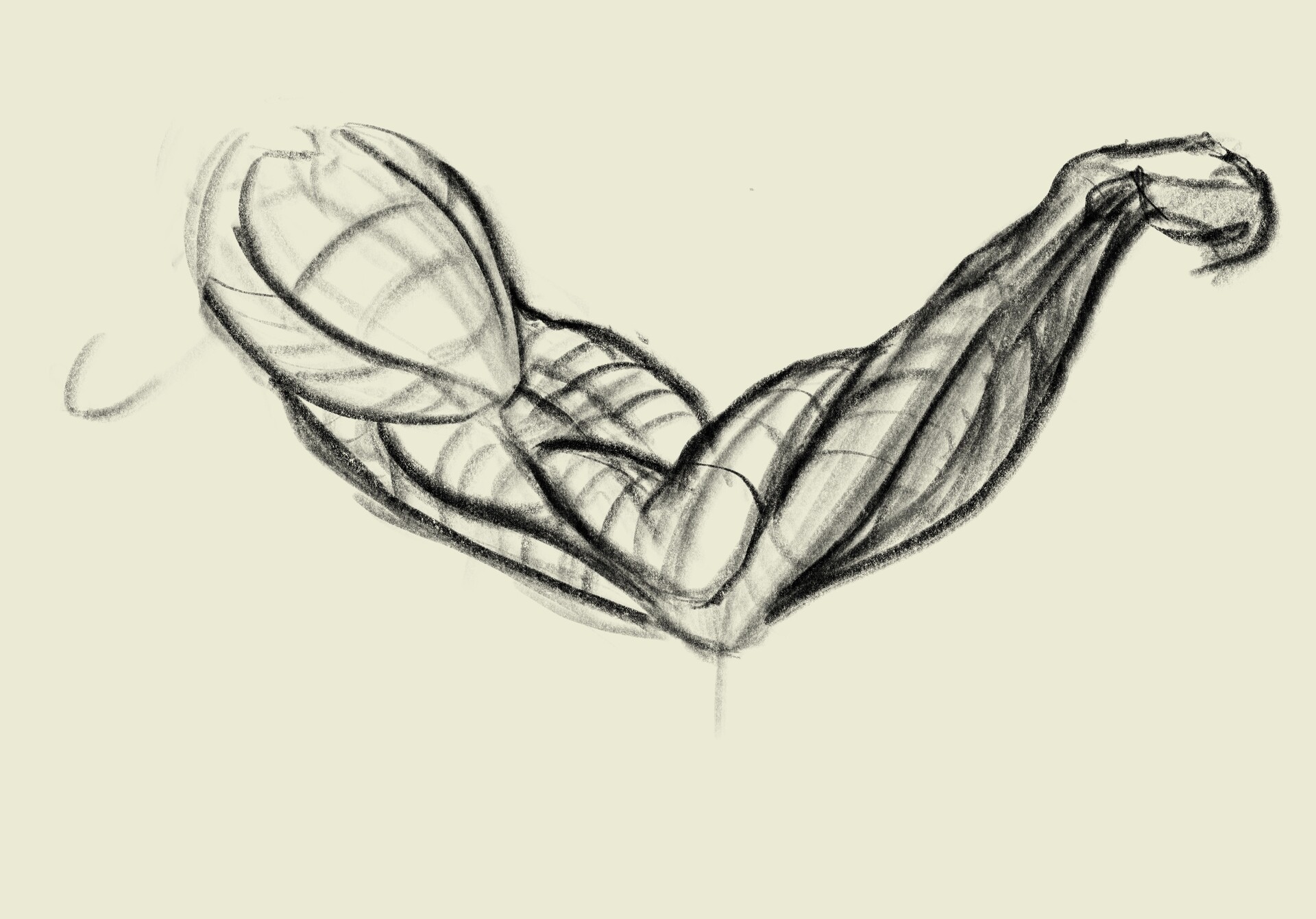 ArtStation - arm_study_in_motion_1