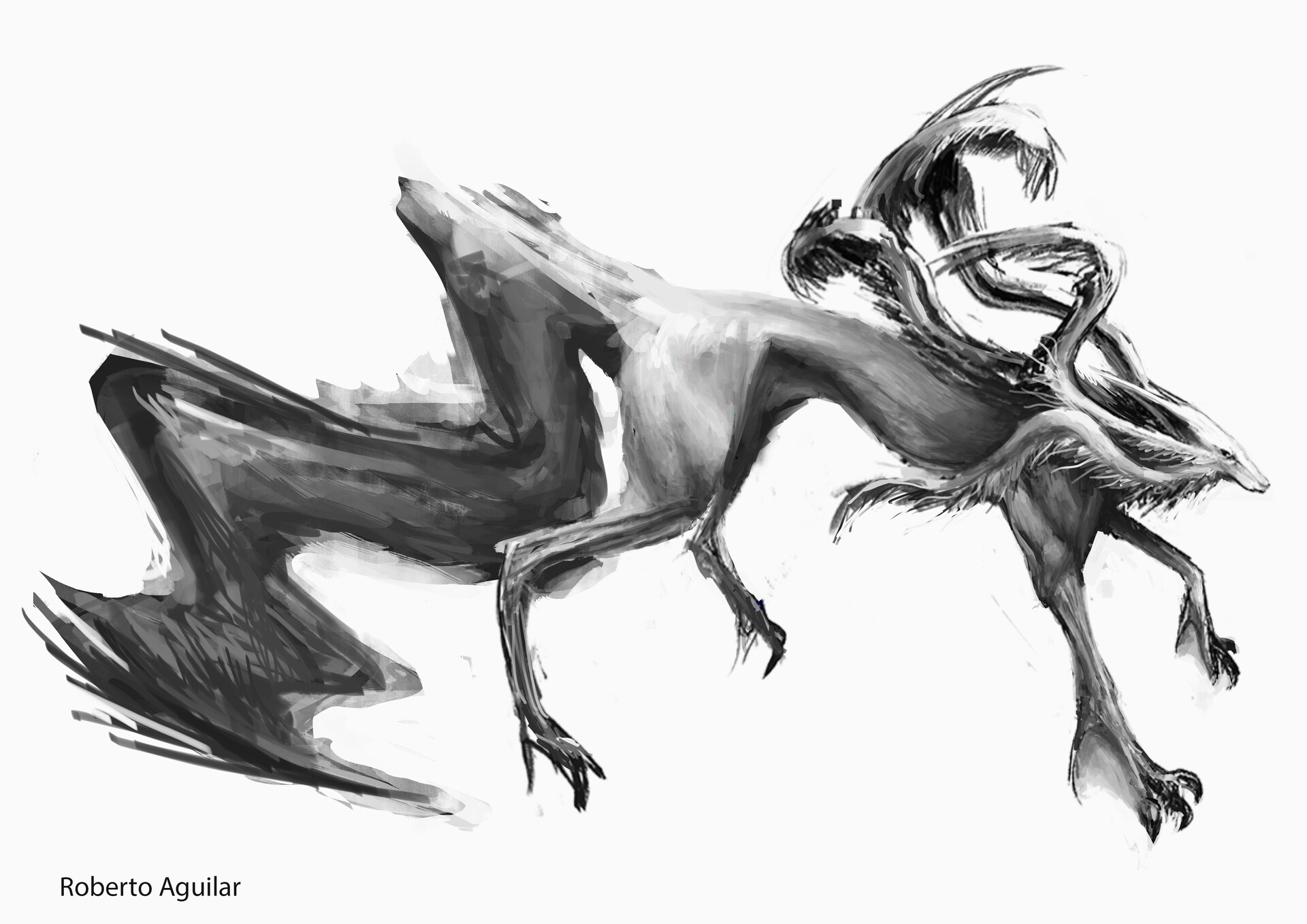 ArtStation - Ahuizotl coyote water monster