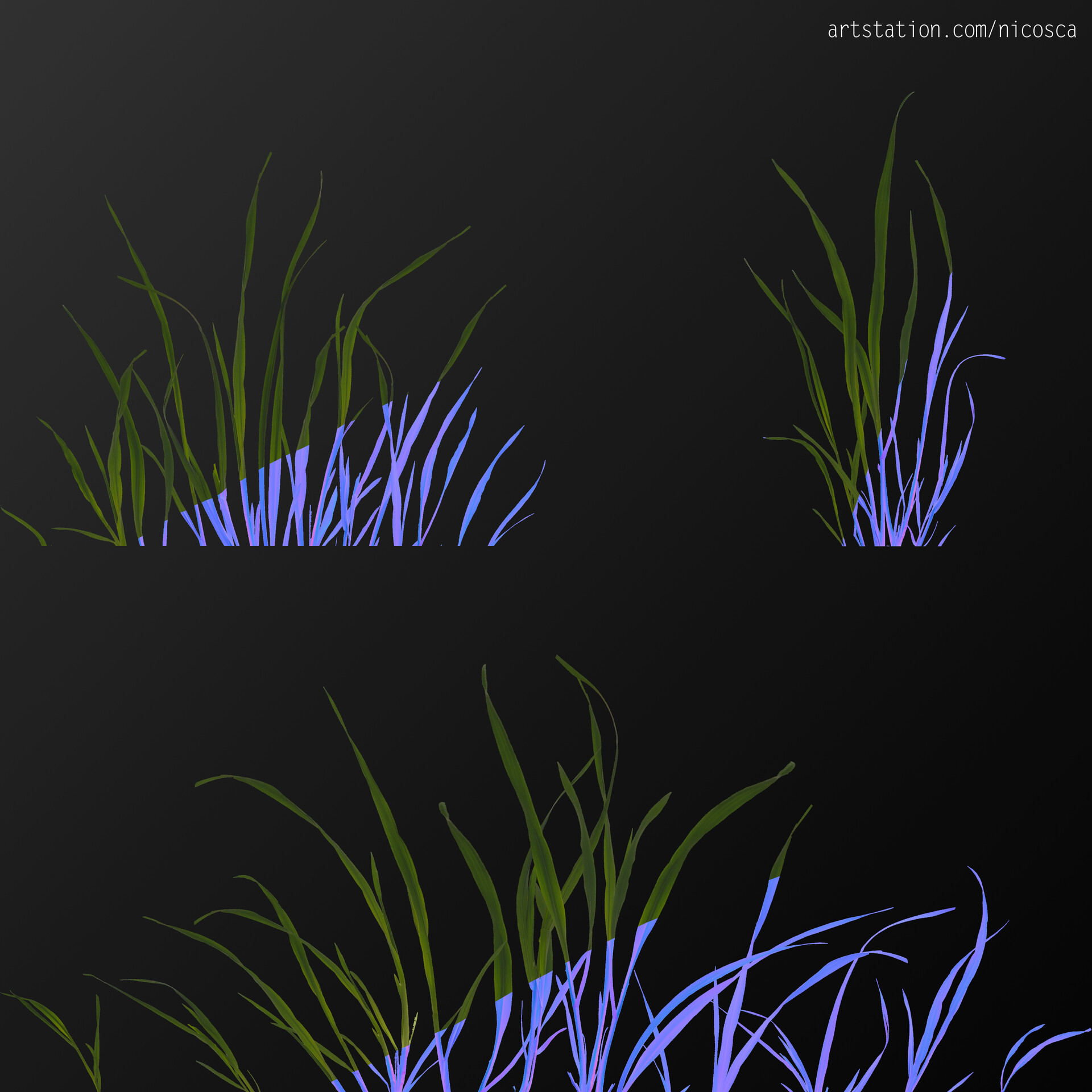 Niccolo Scardino - Viking Hut