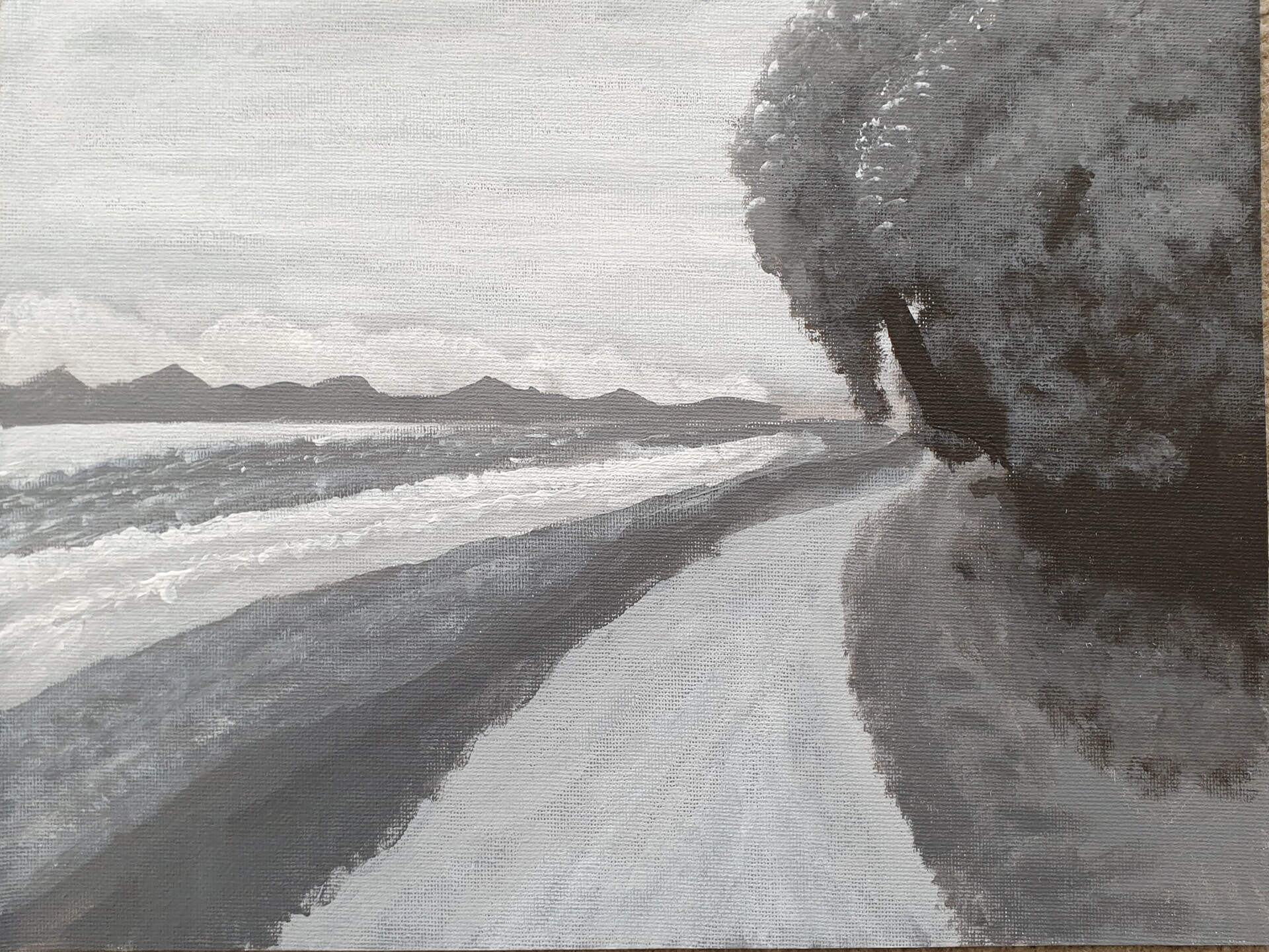 ArtStation - Greyscale Tonal Study of Tapapakanga beach