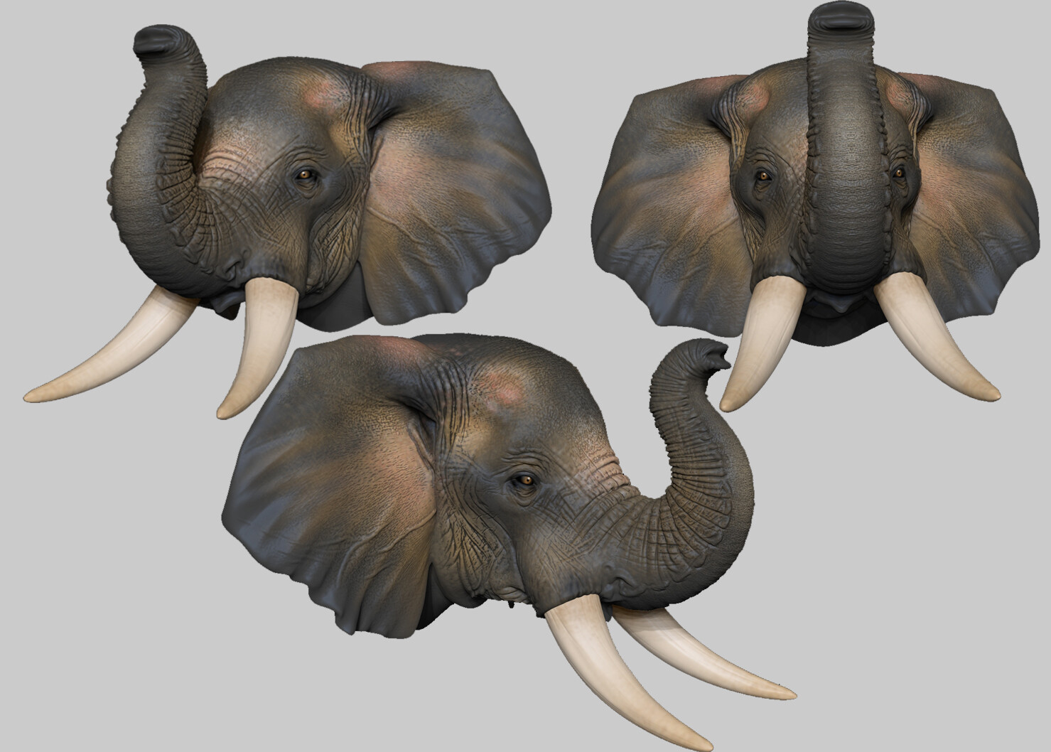 ArtStation - Elephant head