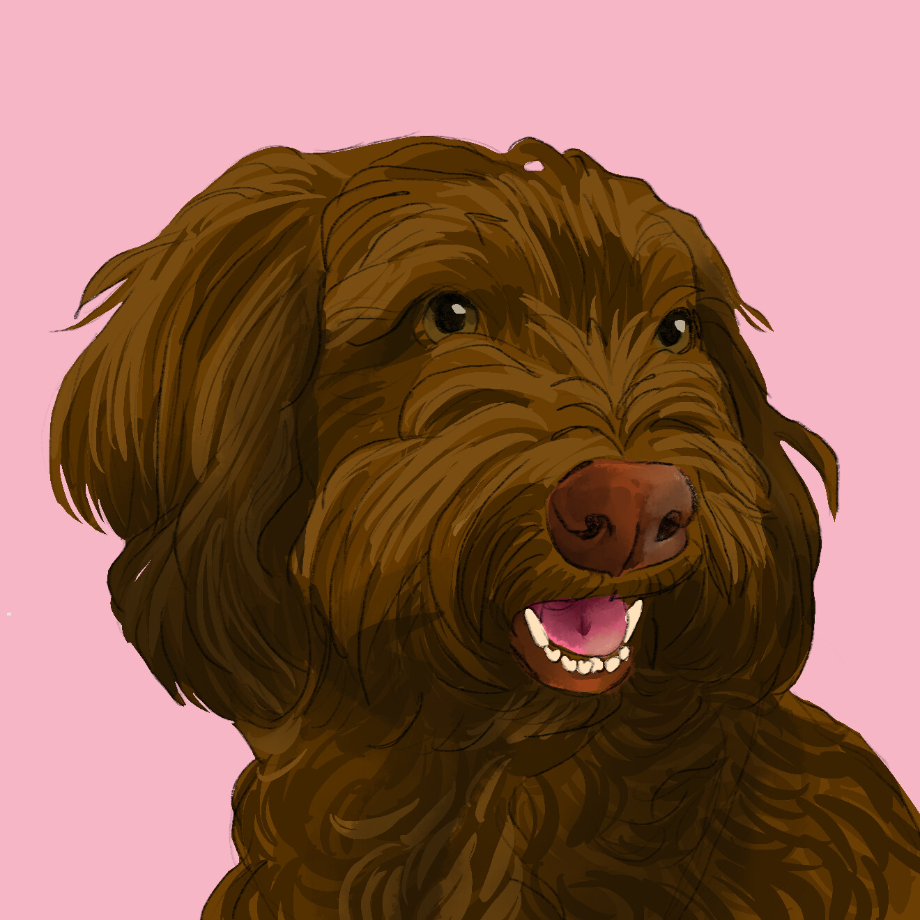 Brooke - Graphic - CHEWIE
