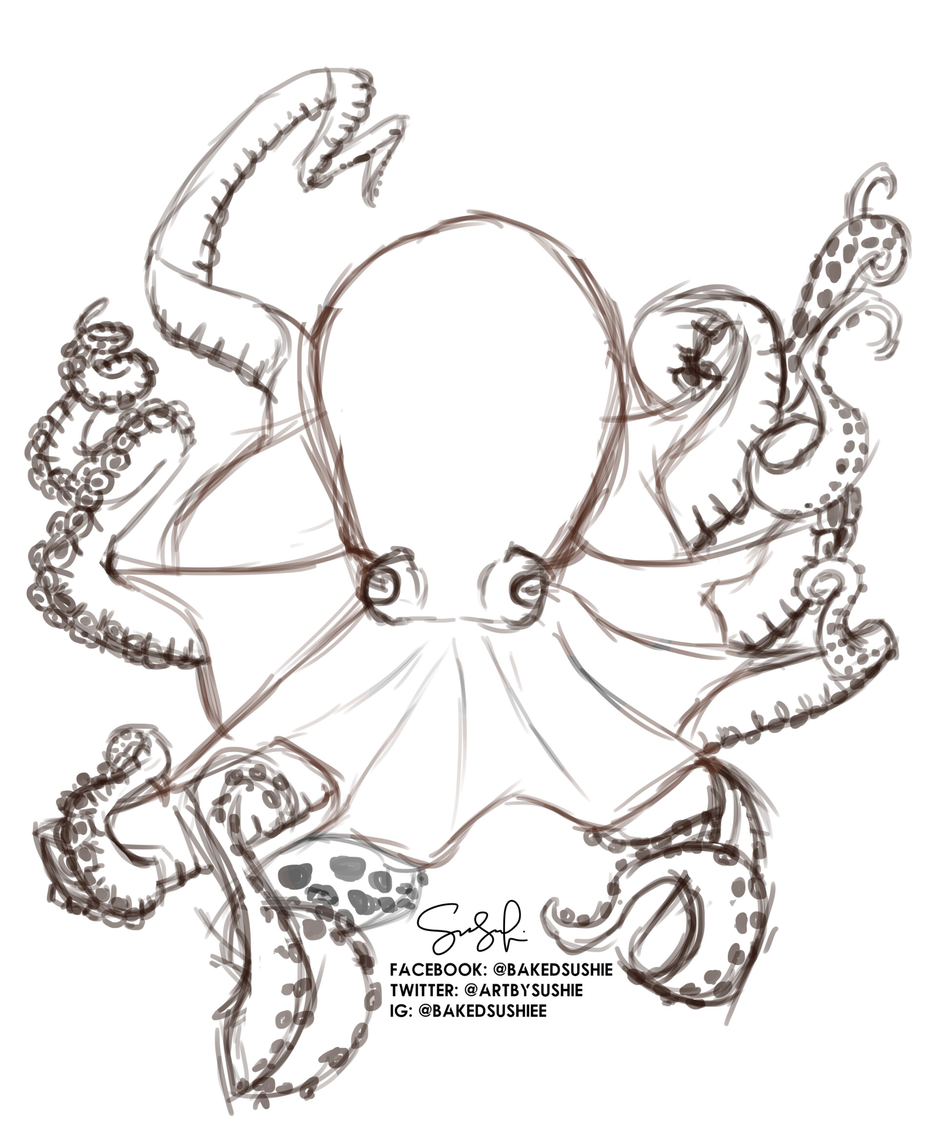 Octopus Drawings Tumblr