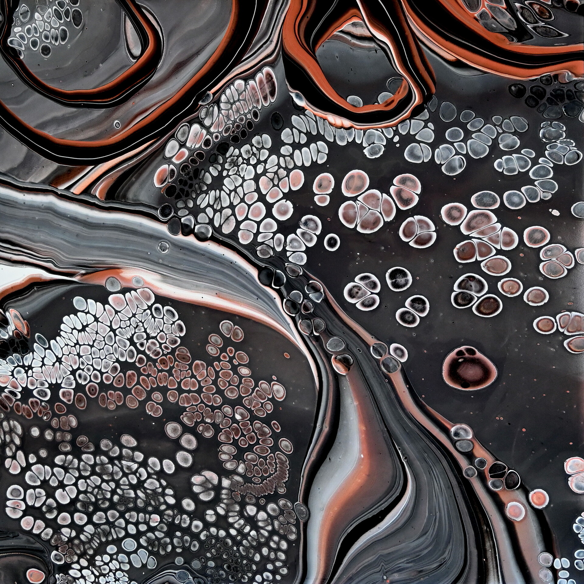 Fiona Art - Flip and Lip ~ Black & White and Copper ~ Acrylic pouring ...