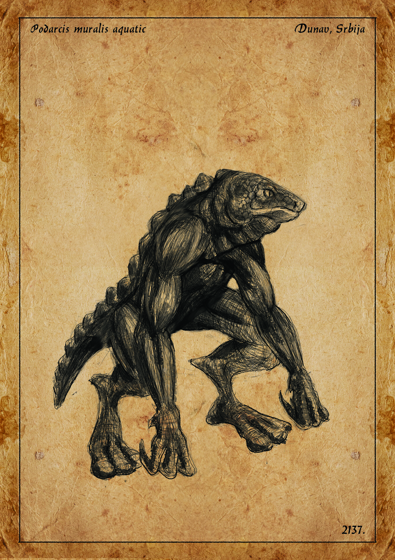 Daniel Tabori - Danube 2137.