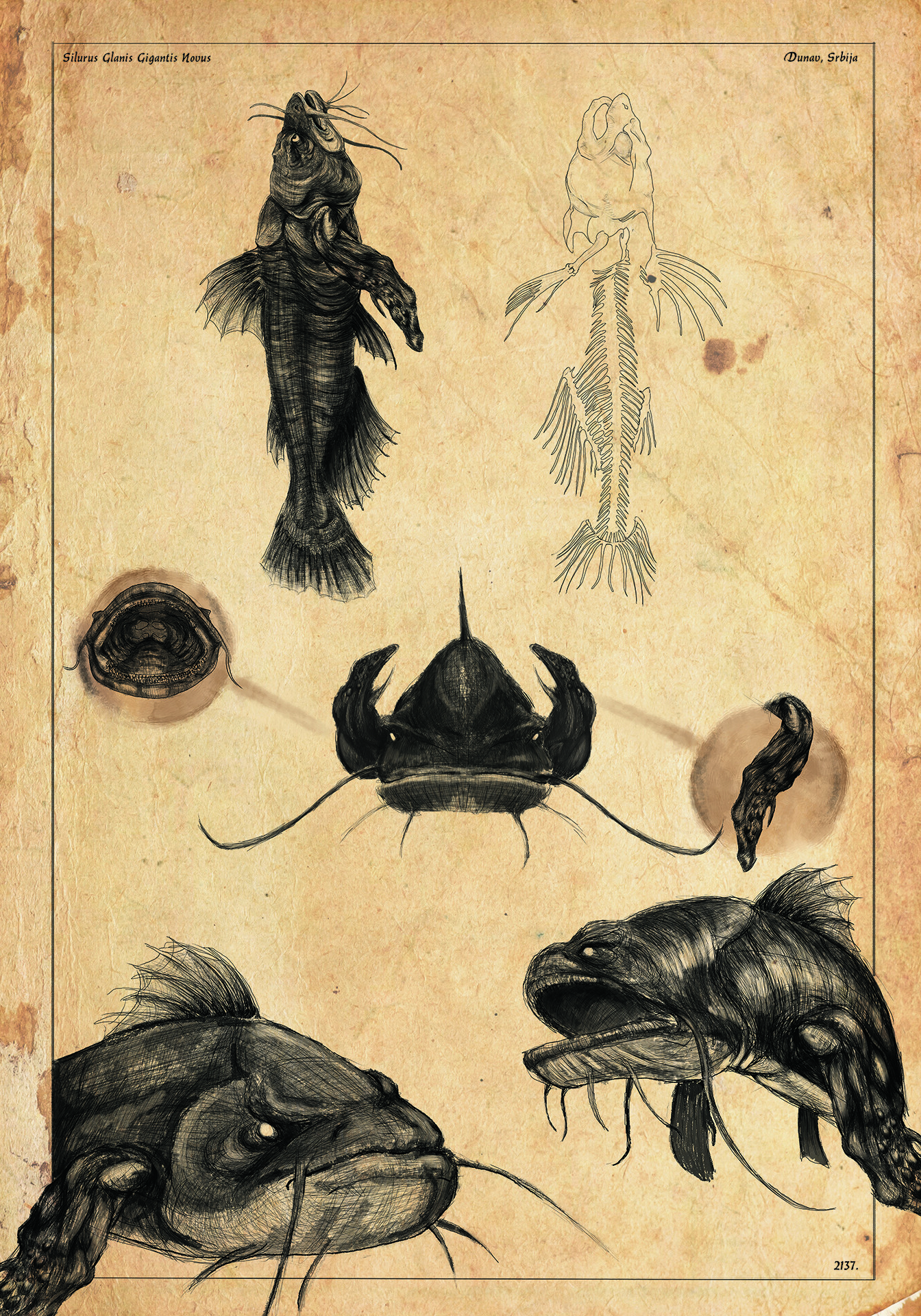 Daniel Tabori - Danube 2137.