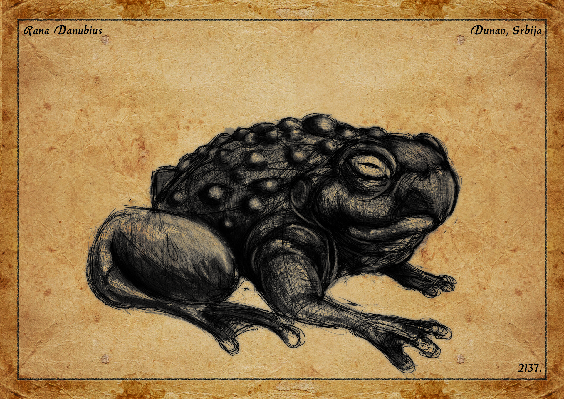 Daniel Tabori - Danube 2137.