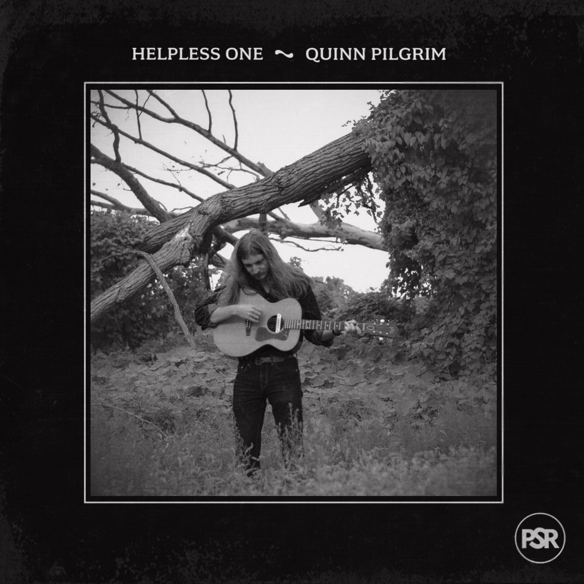 Mason Fry - American Dream Lament - Quinn Pilgrim Cover Art