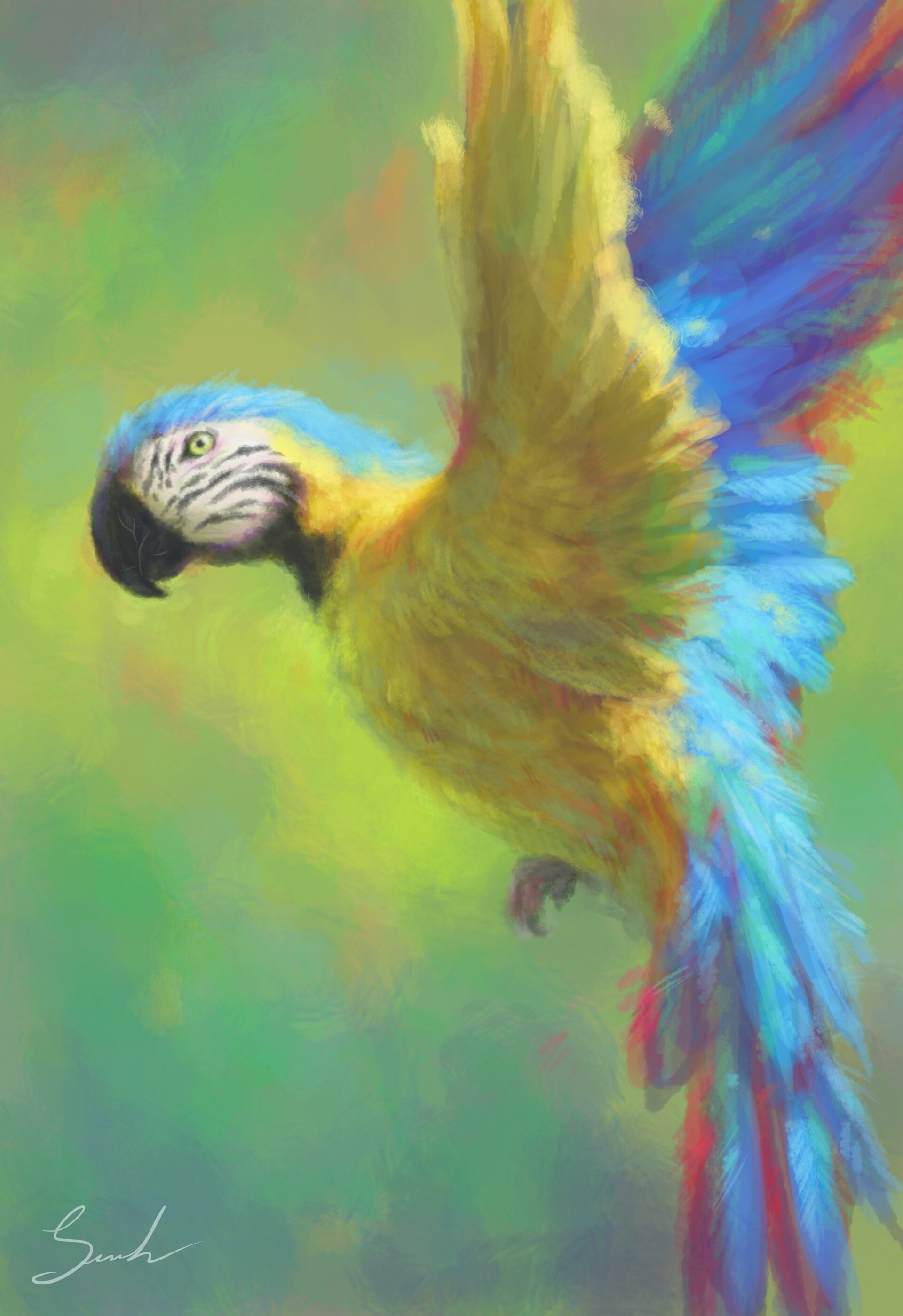 ArtStation - Flying Parrot