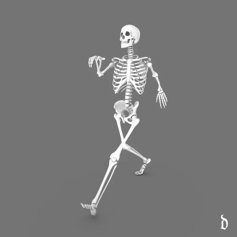 skeleton moving animation