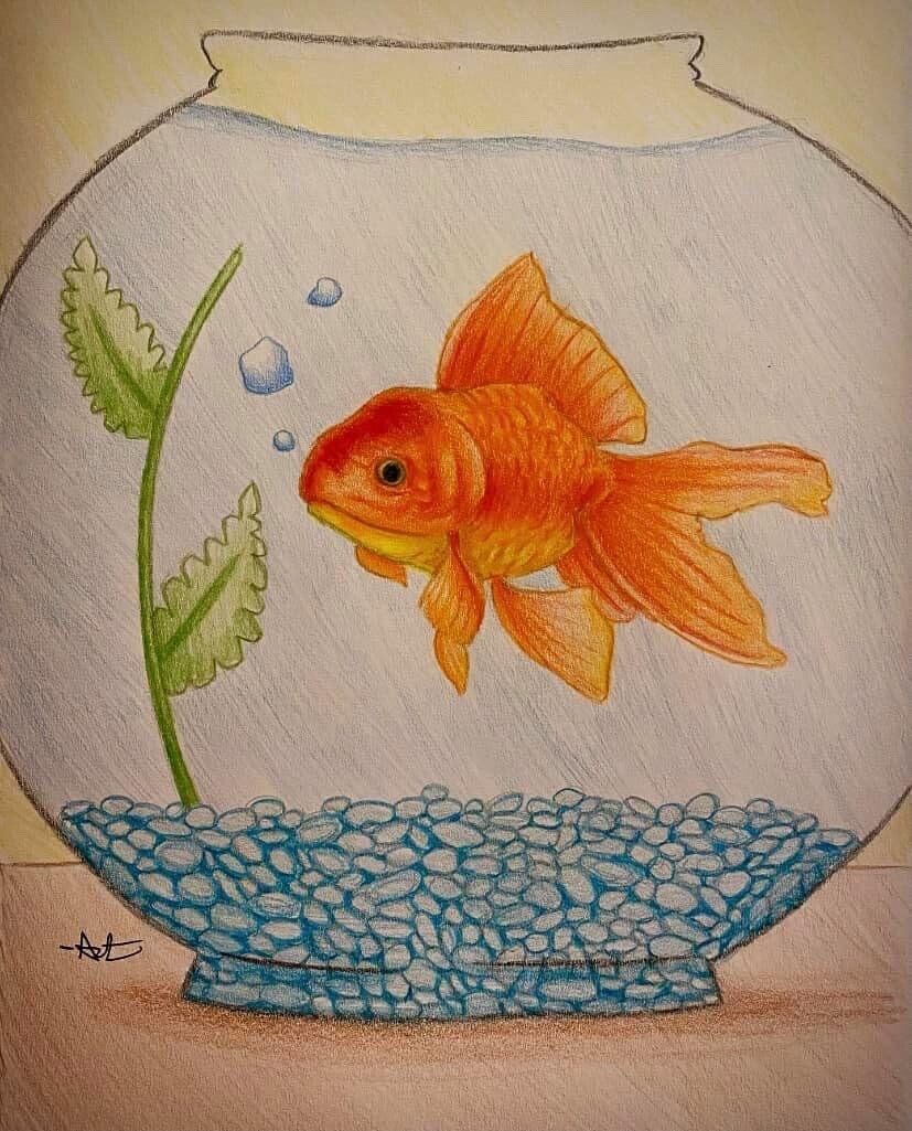 ArtStation - Goldfish