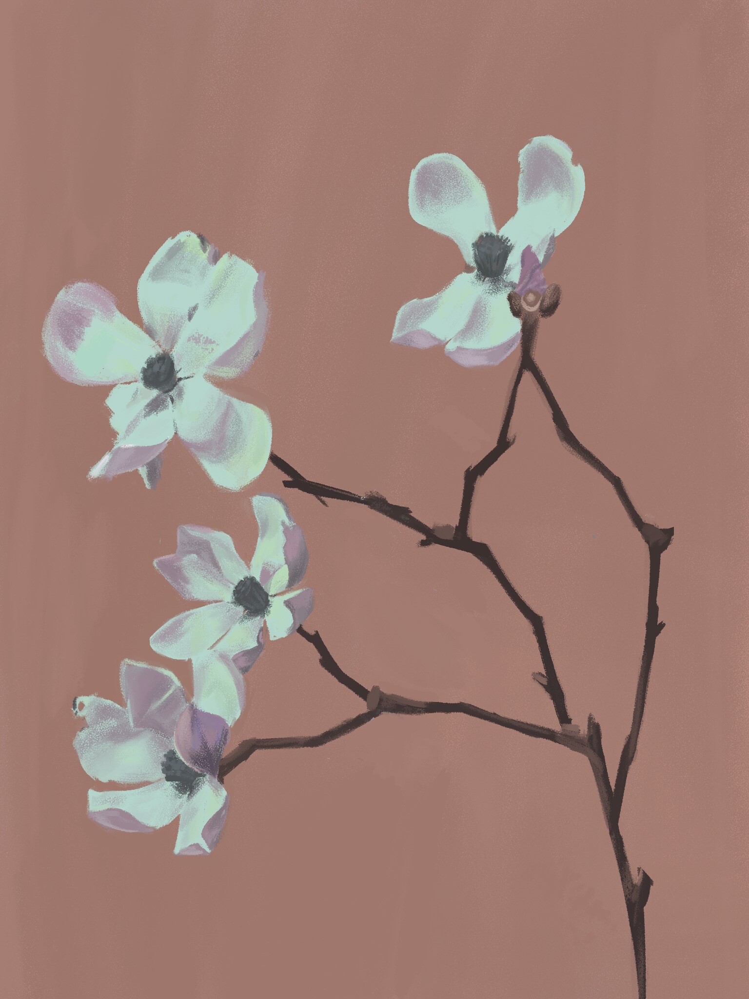 ArtStation - another flower study