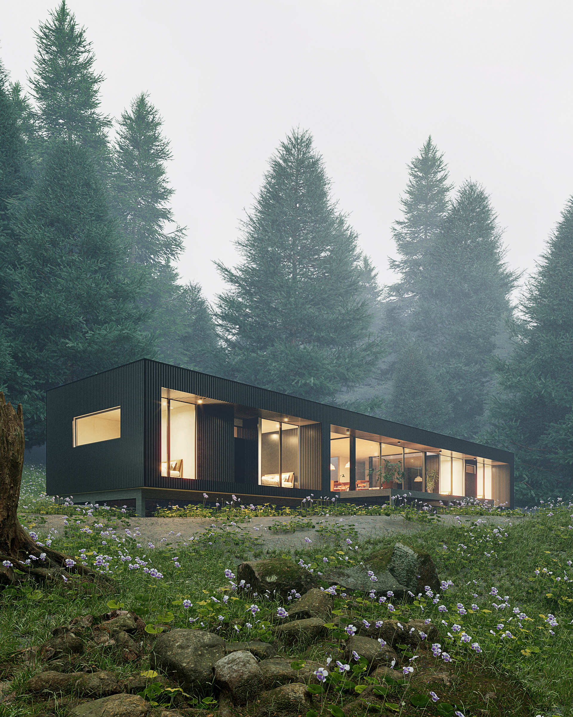 ArtStation - HOUSE WV