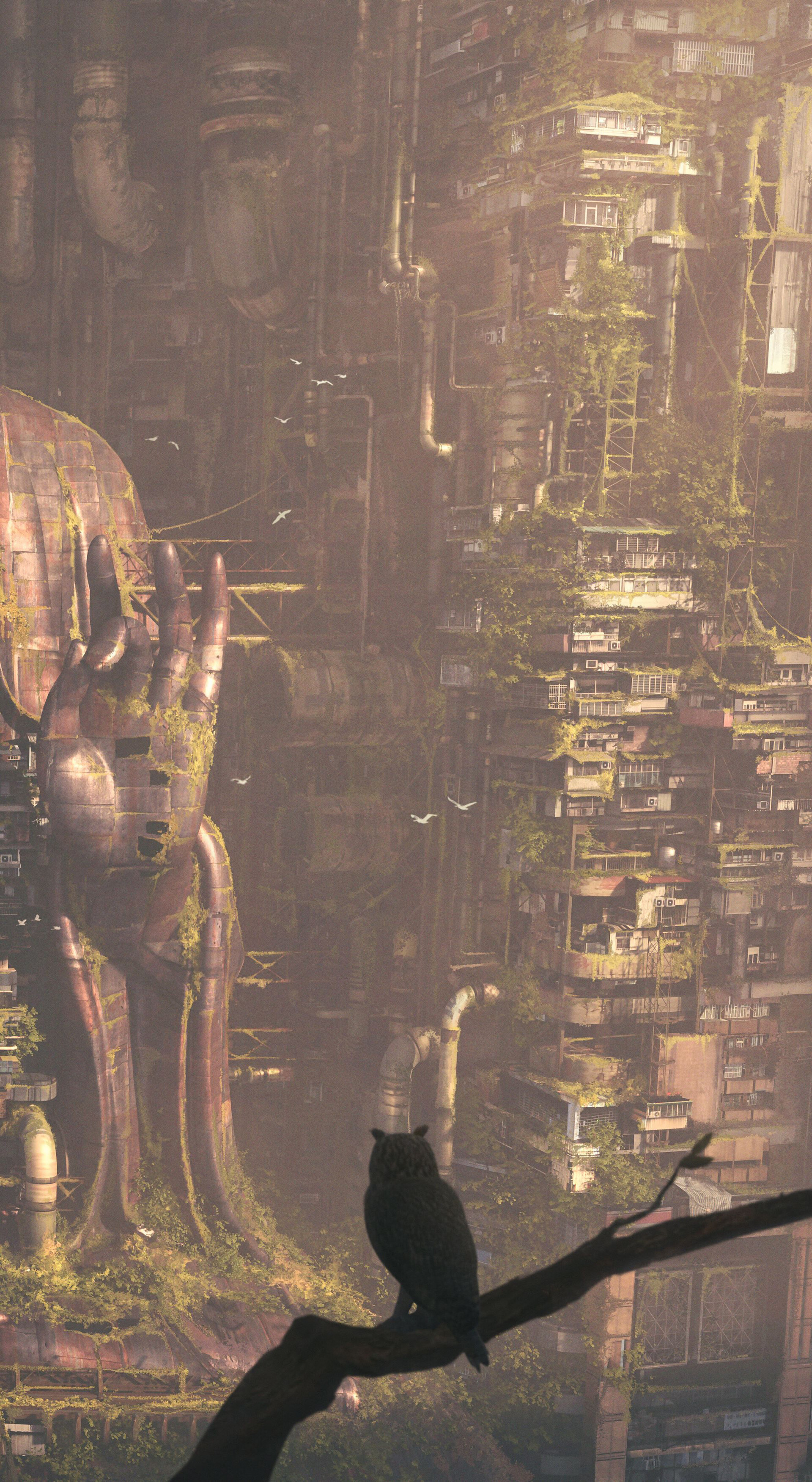 Daniel Liang - Morning