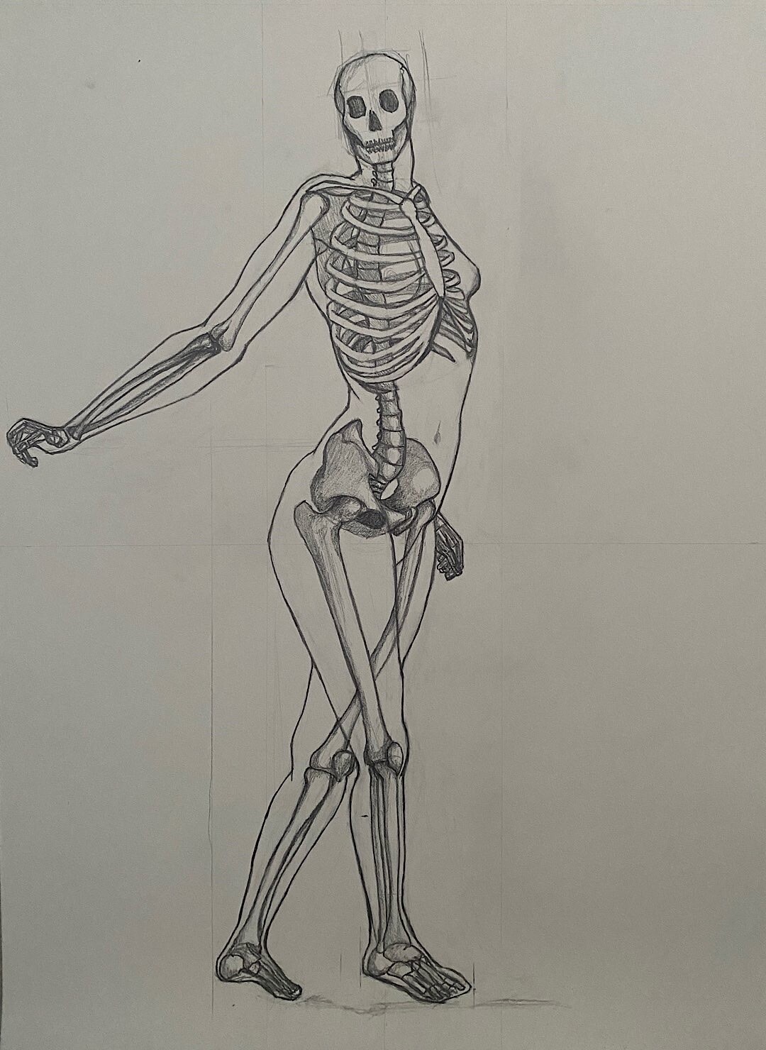 ArtStation - Skeleton study