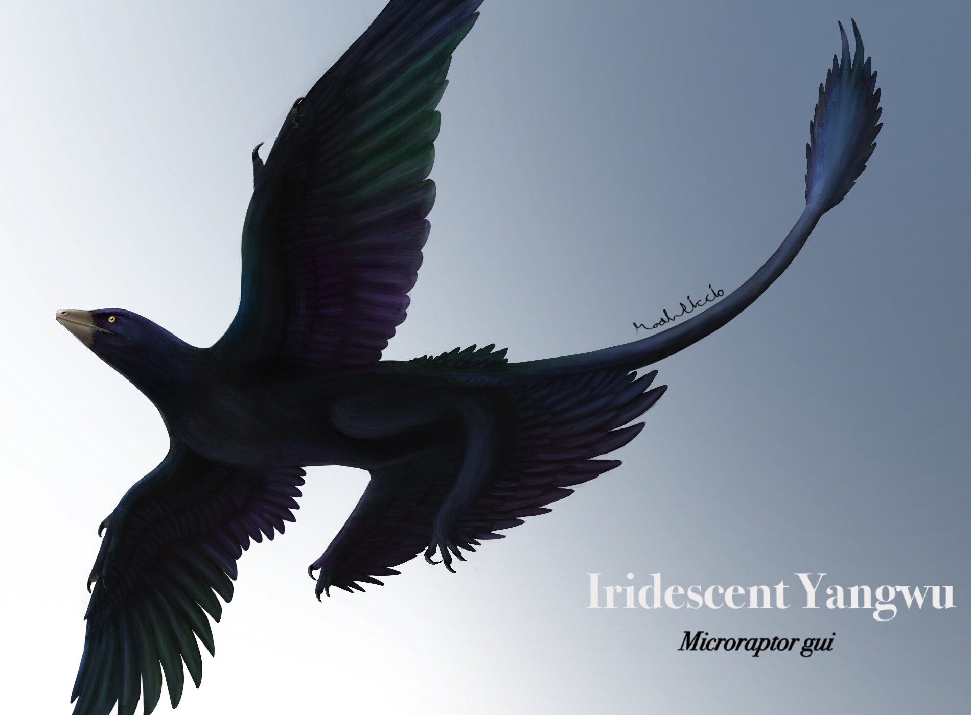 ArtStation - Microraptor gui