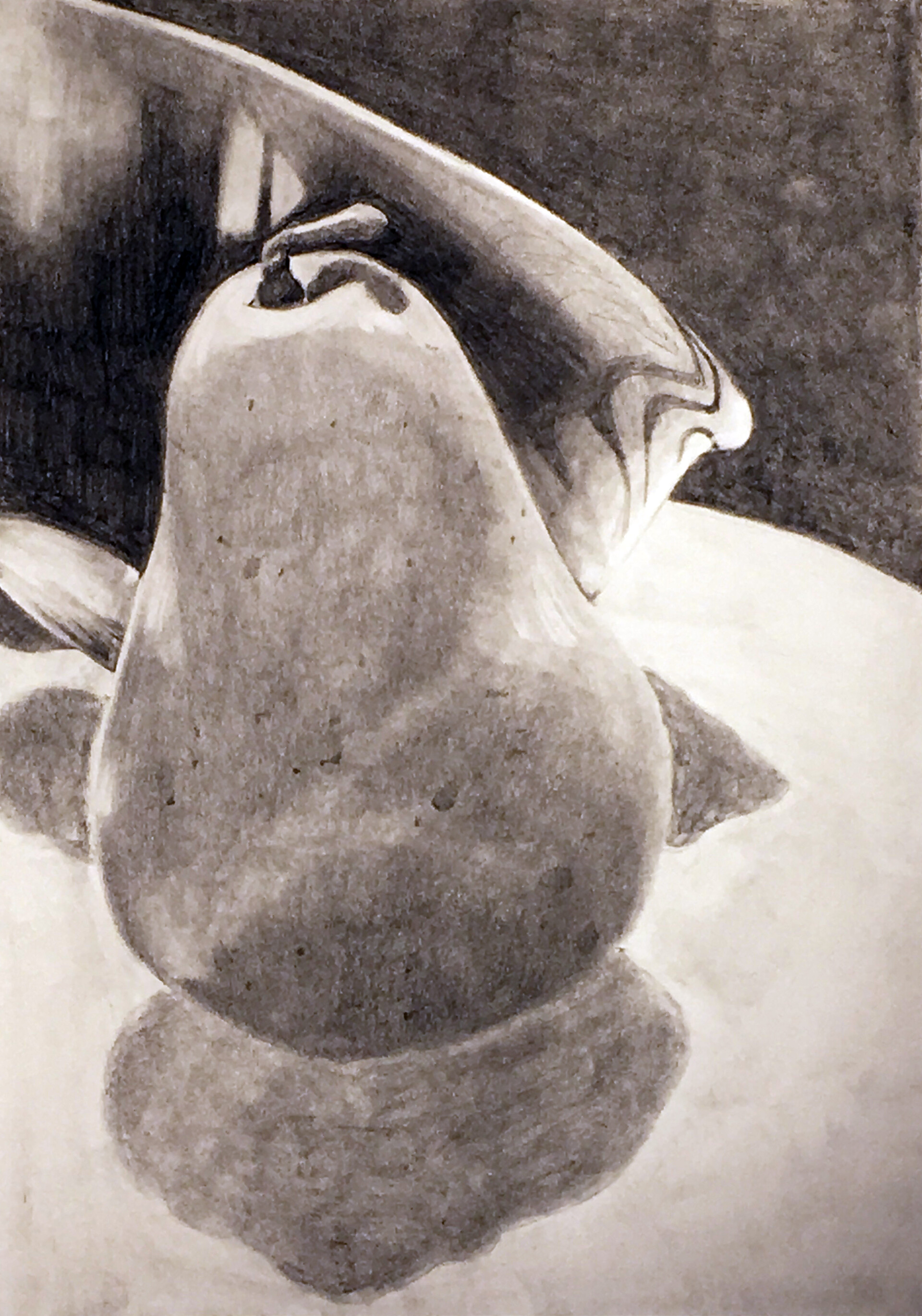 ArtStation - Life/Figure Drawing