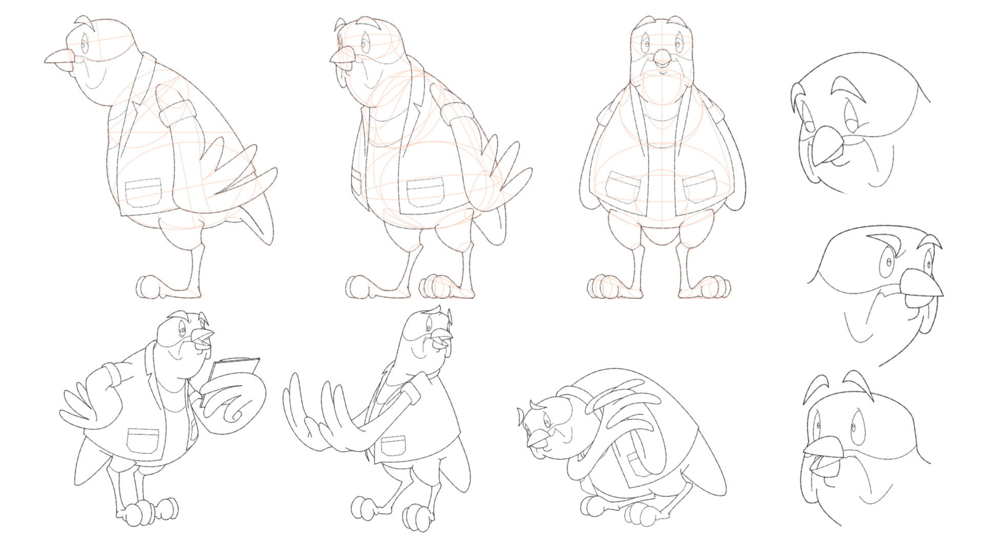 ArtStation - Model sheet for my student film - Oiseau