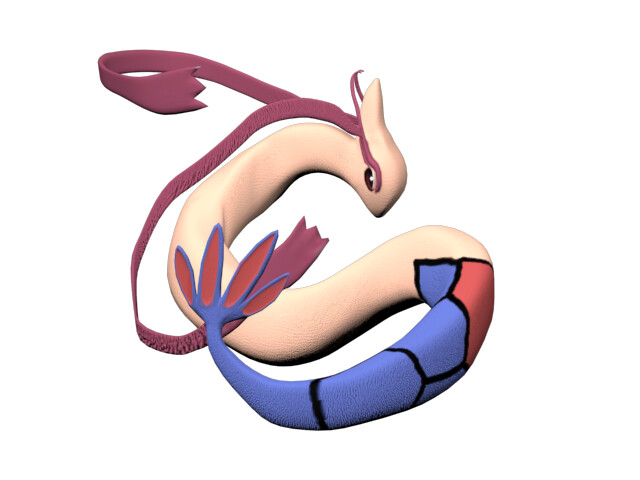 ArtStation - Milotic Pokémon Renders