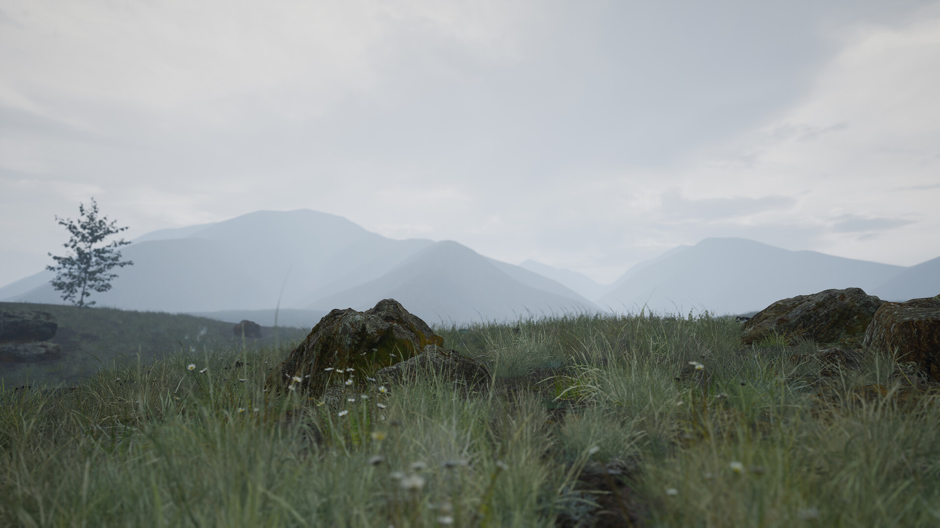 ArtStation - Hi-lands