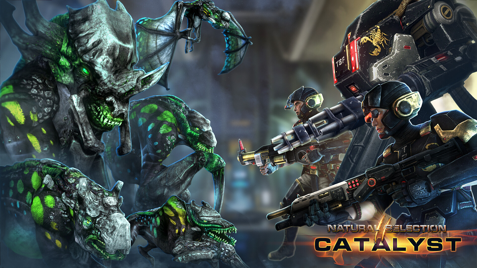 Amanda Diaz - Catalyst Supporter Packs