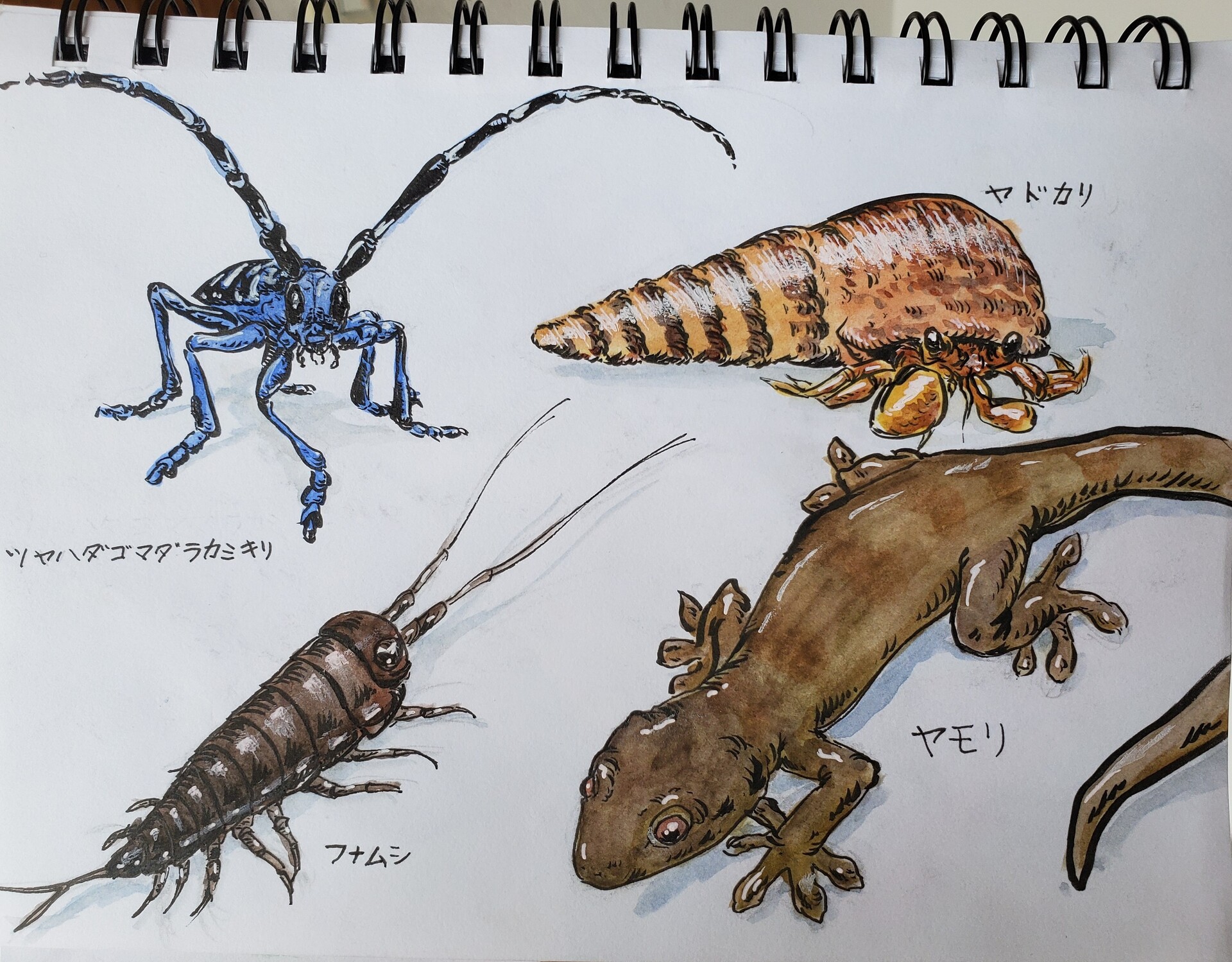 ArtStation - Bug travel journal