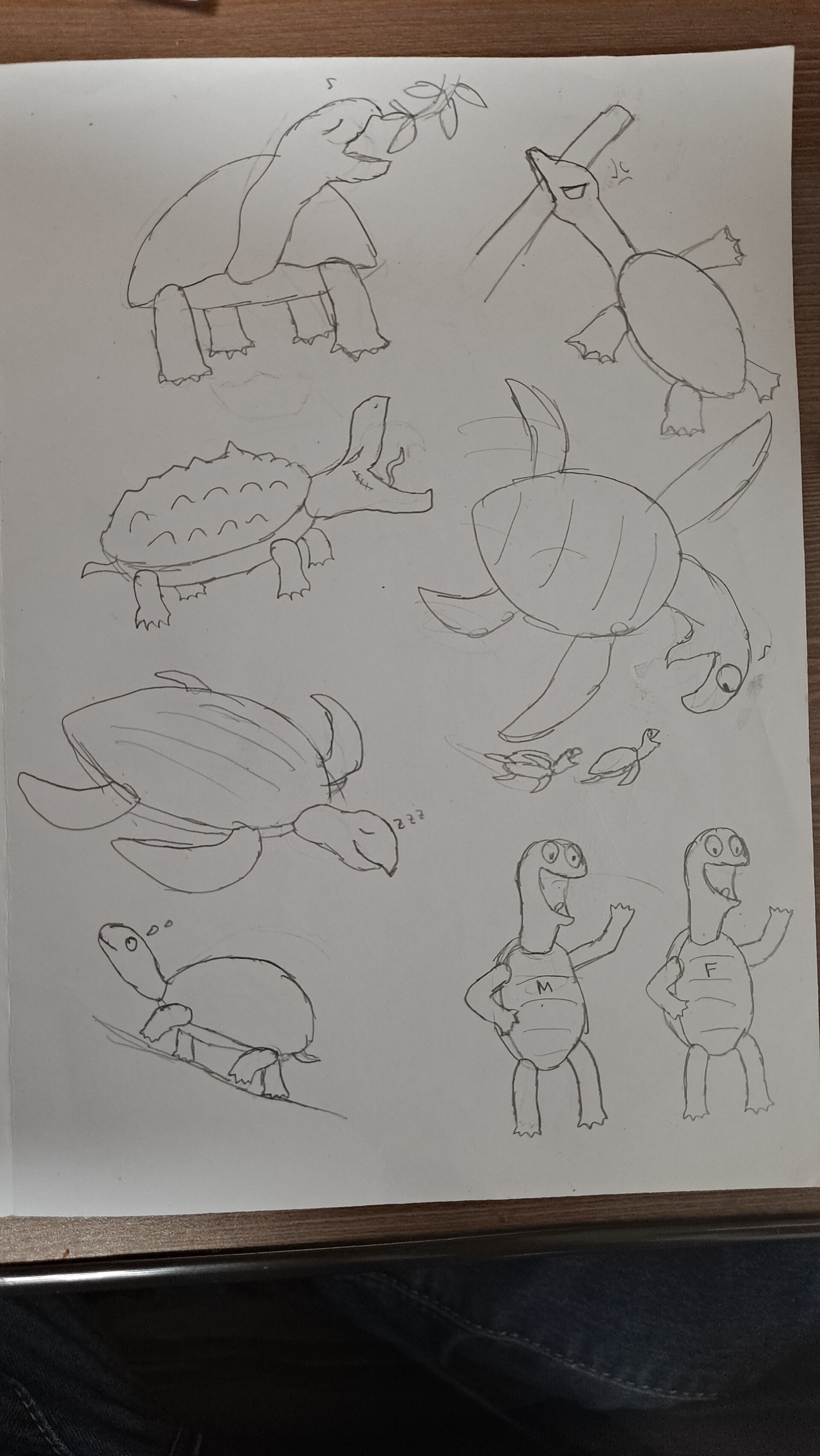 ArtStation - Turtle drawing samples