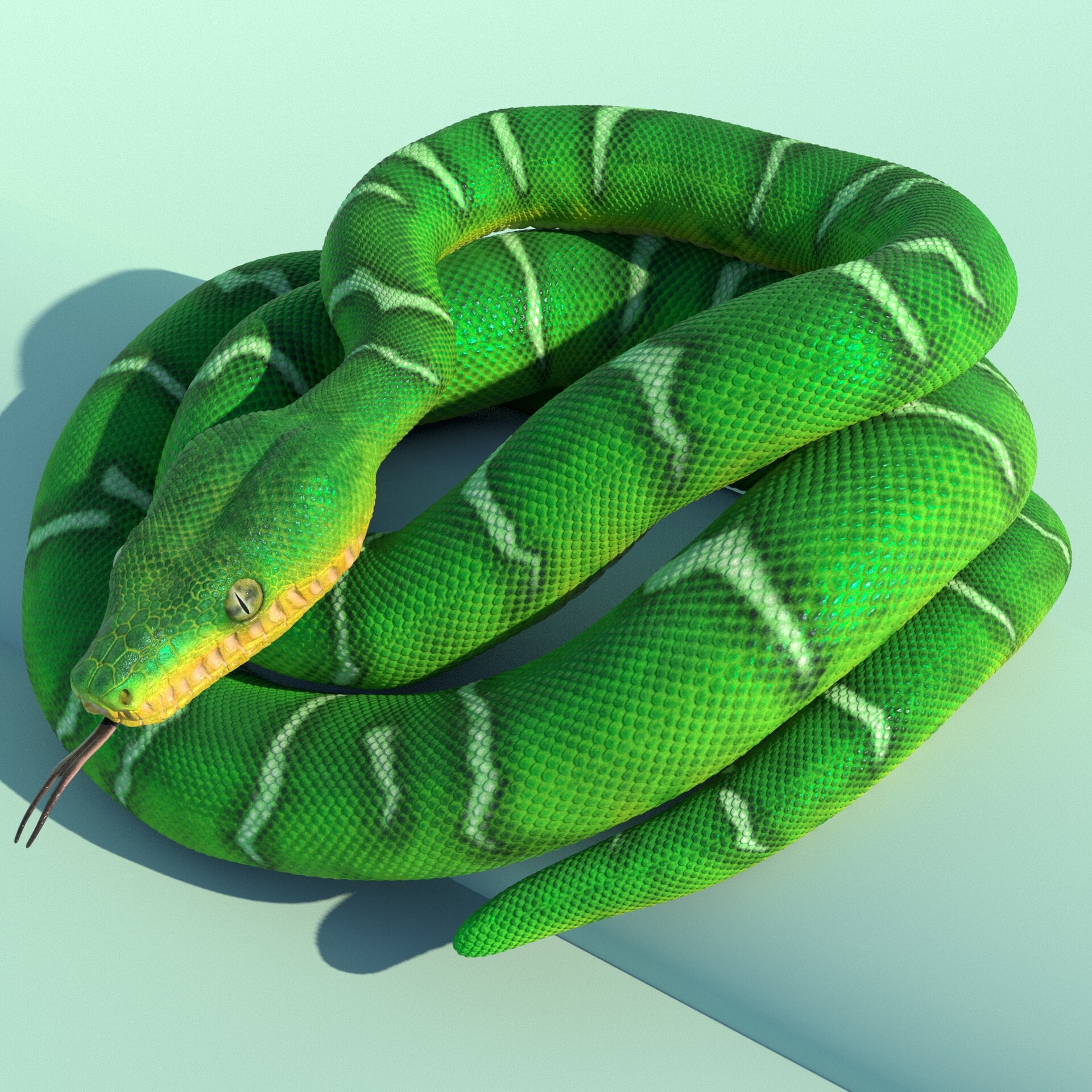ArtStation - Emerald Tree Boa Rigged Animated