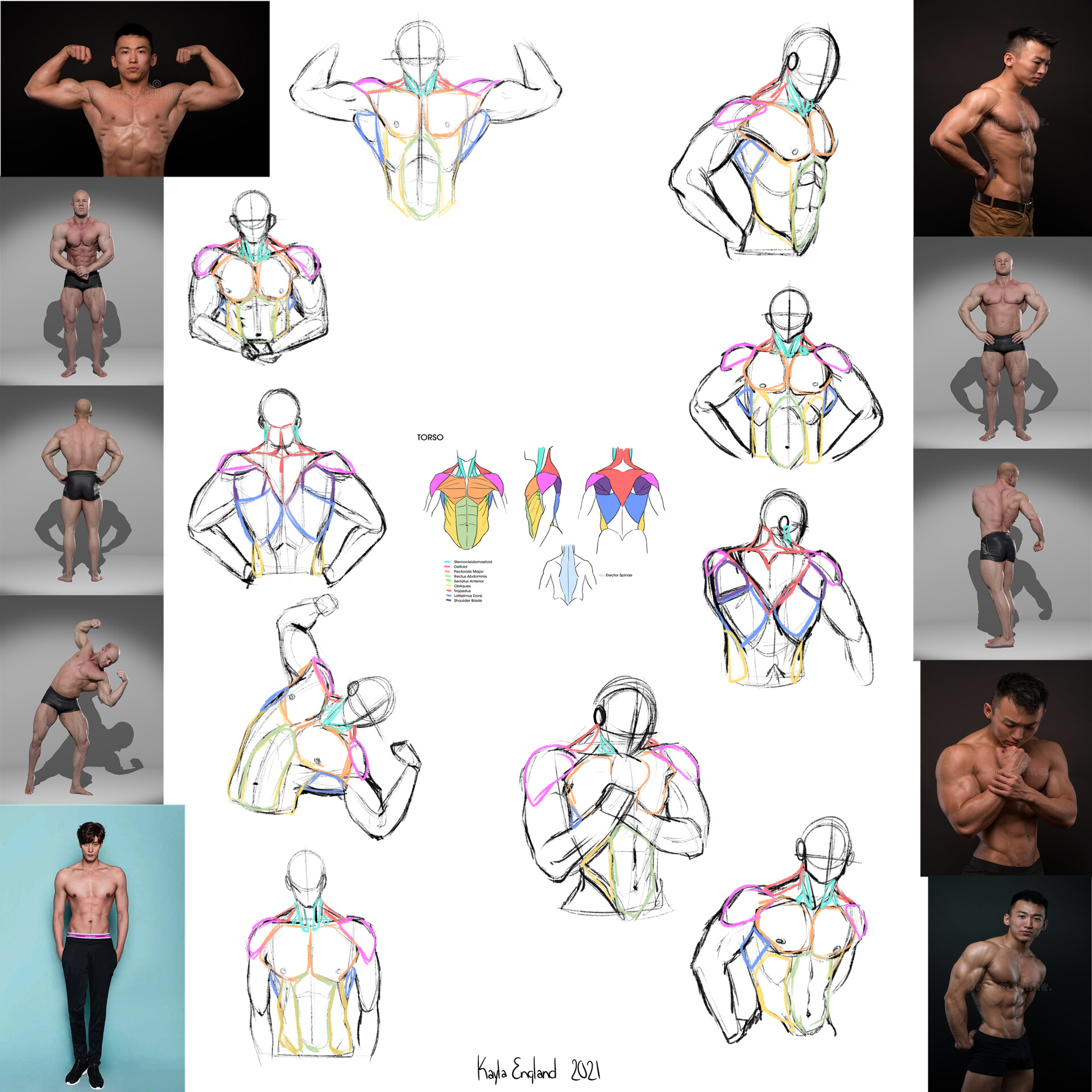 ArtStation - Illustration, Anatomy, Art Compilation