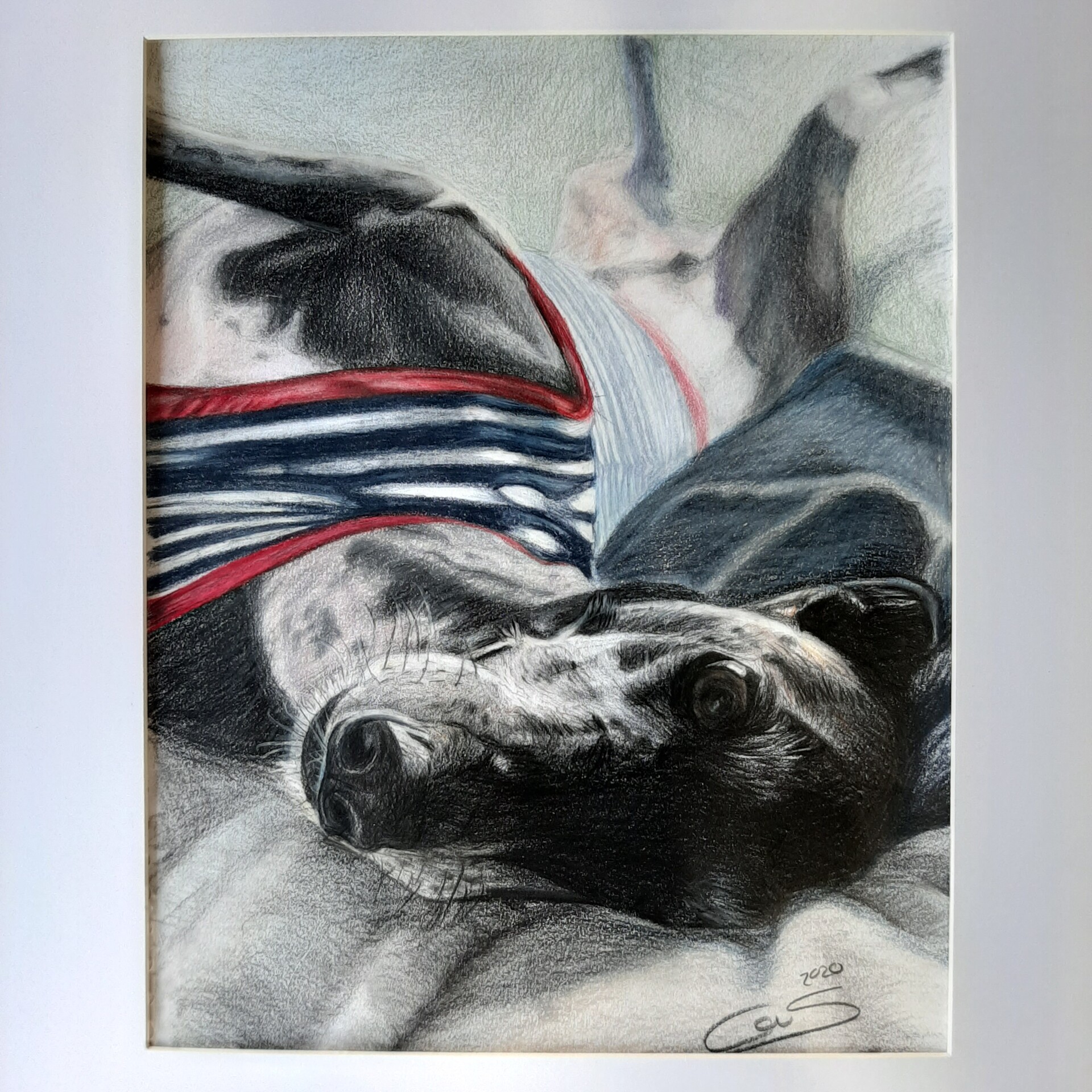 ArtStation - Atticus the Greyhound